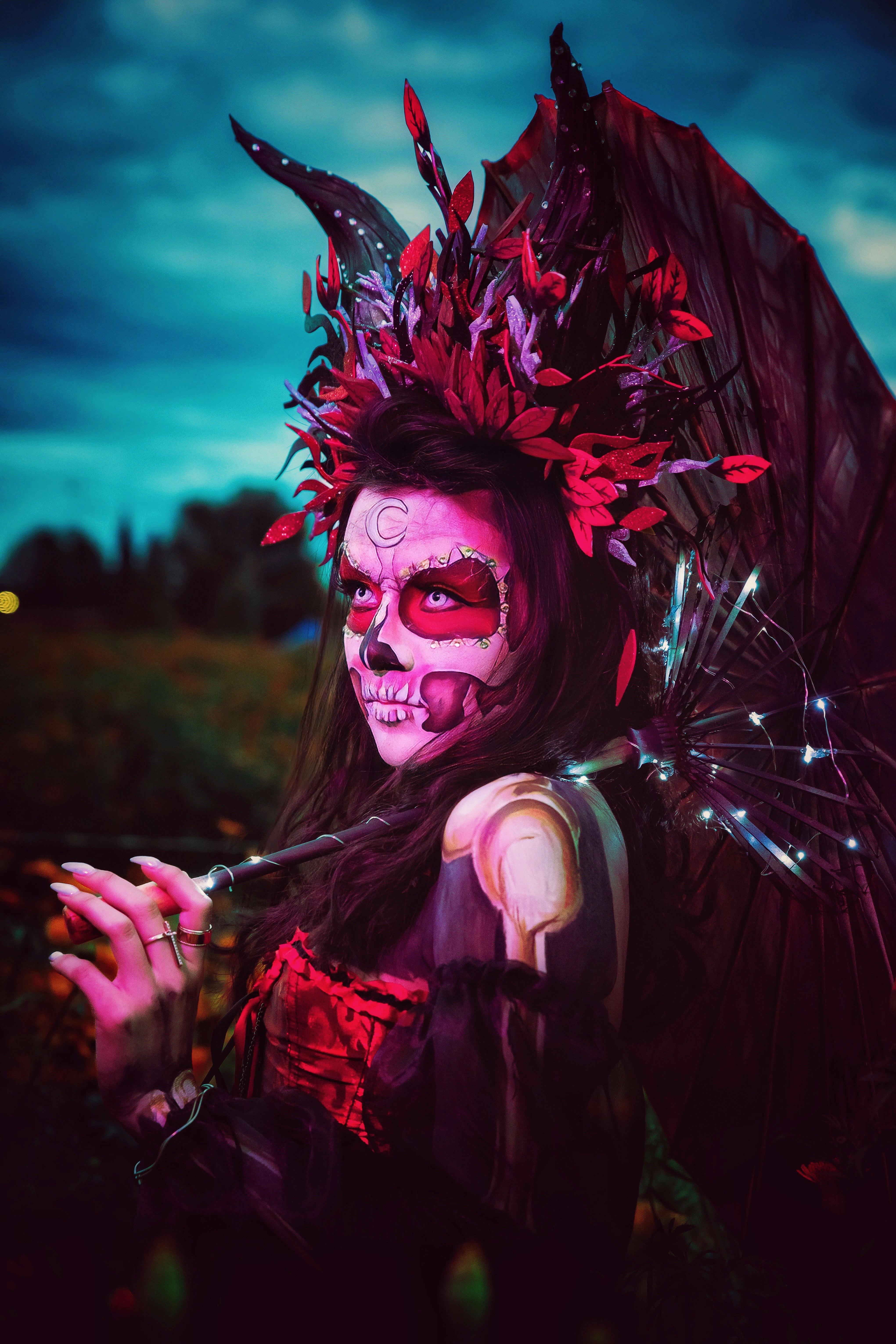 Foto de stock gratuita sobre al aire libre, américa del norte ...