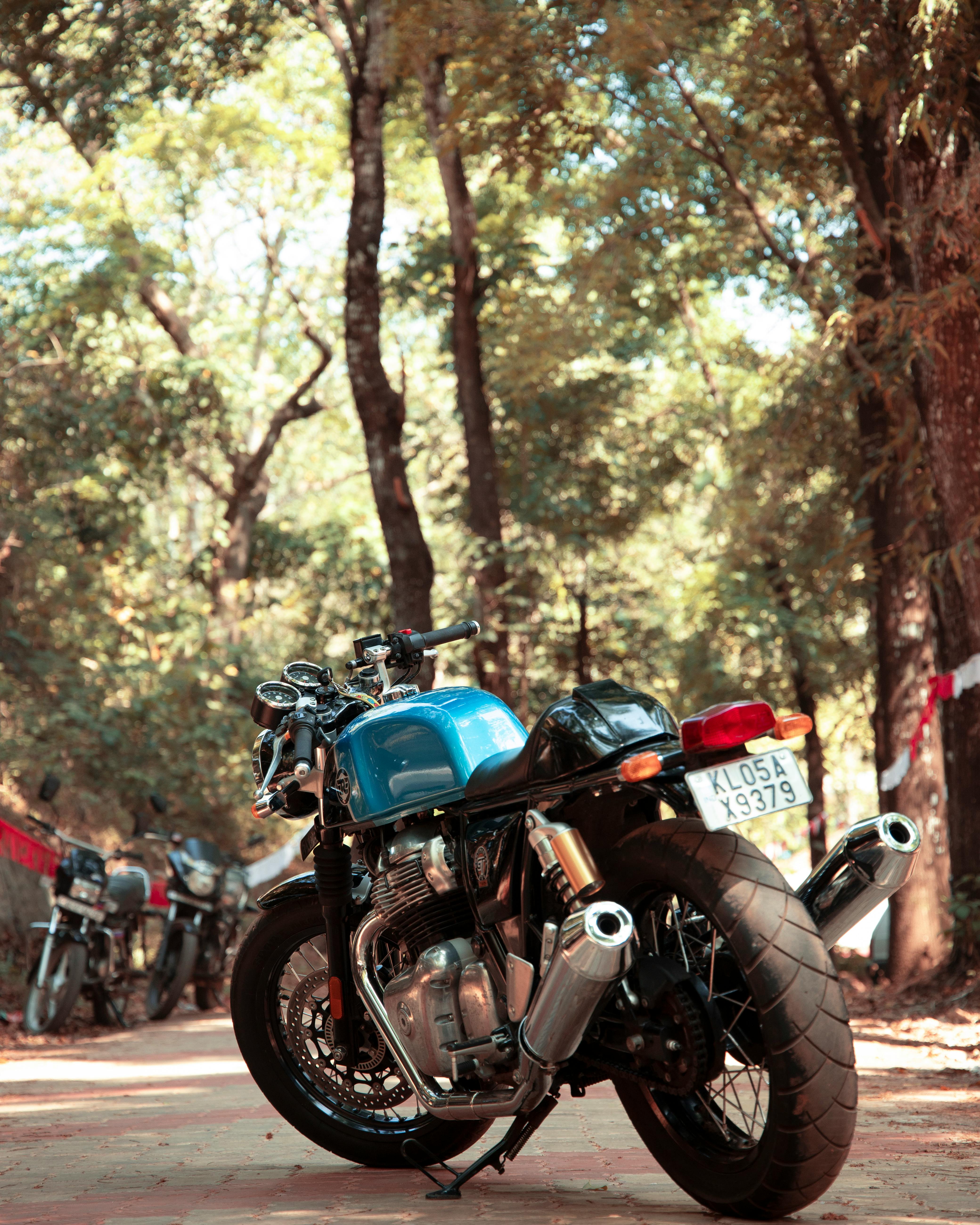 Blue Beast · Free Stock Photo