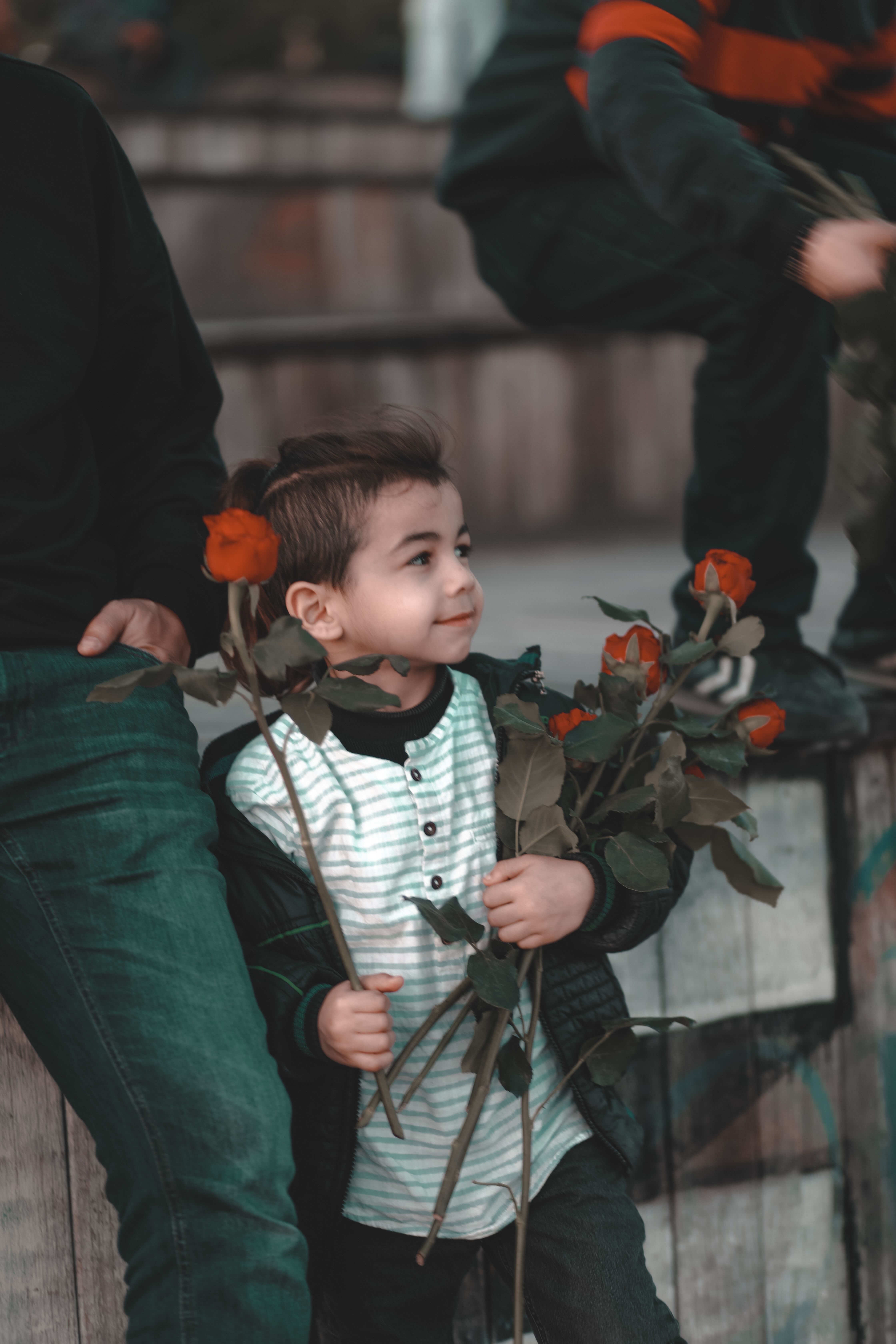Little Boy with Bouquet of Red Roses · Free Stock Photo