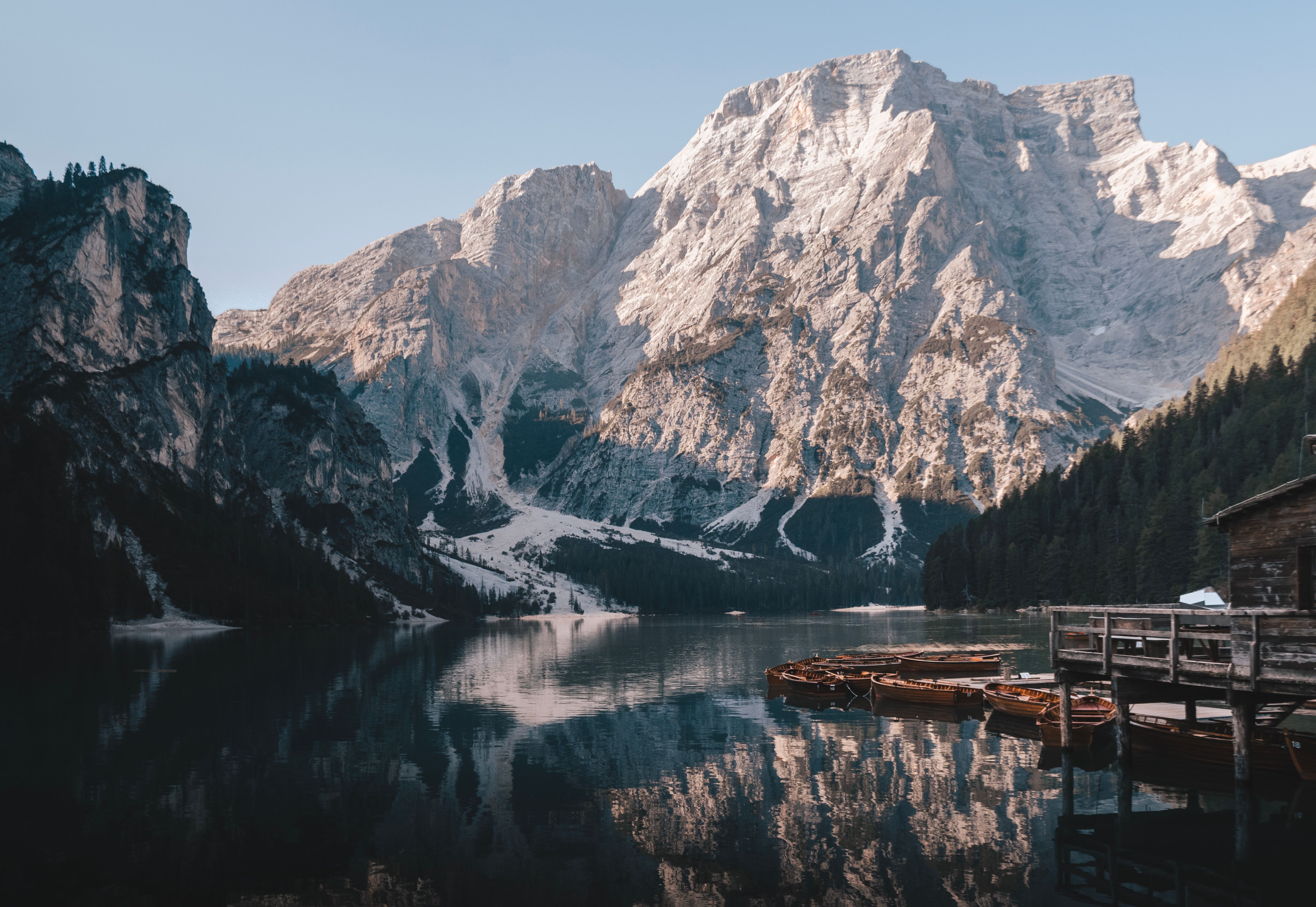 Brai Photos, Download The BEST Free Brai Stock Photos & HD Images
