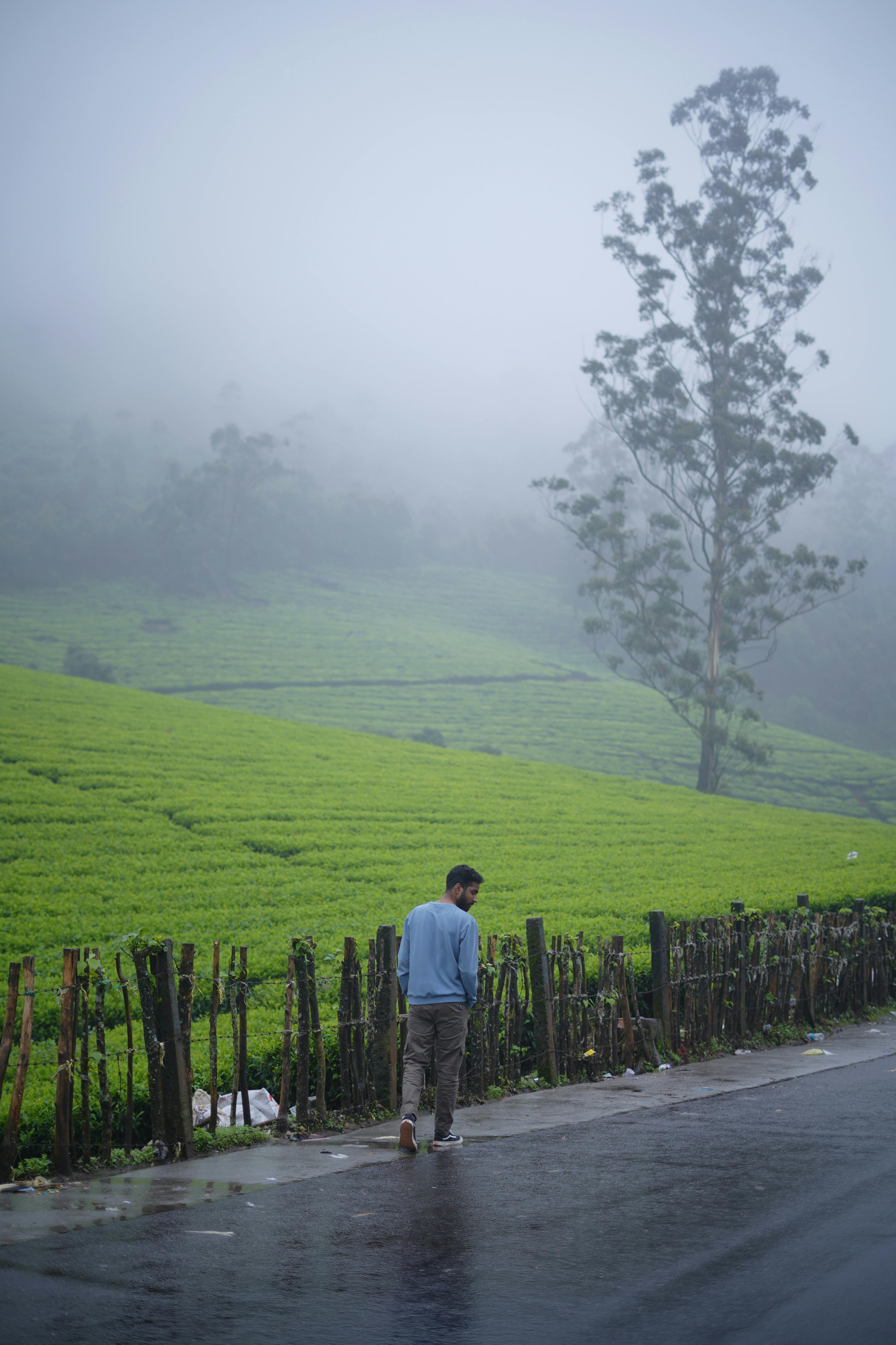 Man Walking down a Road in a Rural Area on a Foggy Day · Free Stock Photo