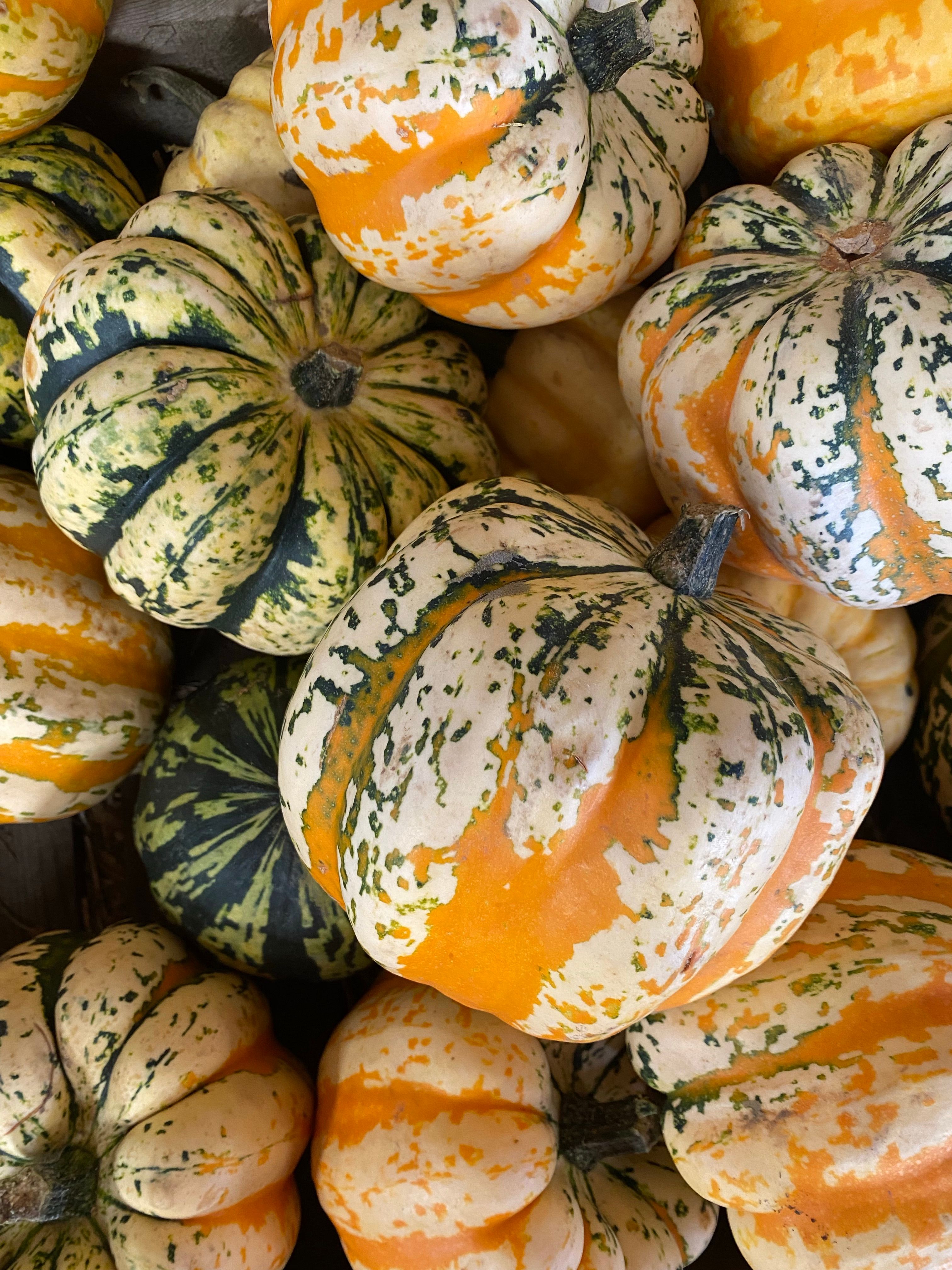 Vegetable Rainbow Photos, Download The BEST Free Vegetable Rainbow ...
