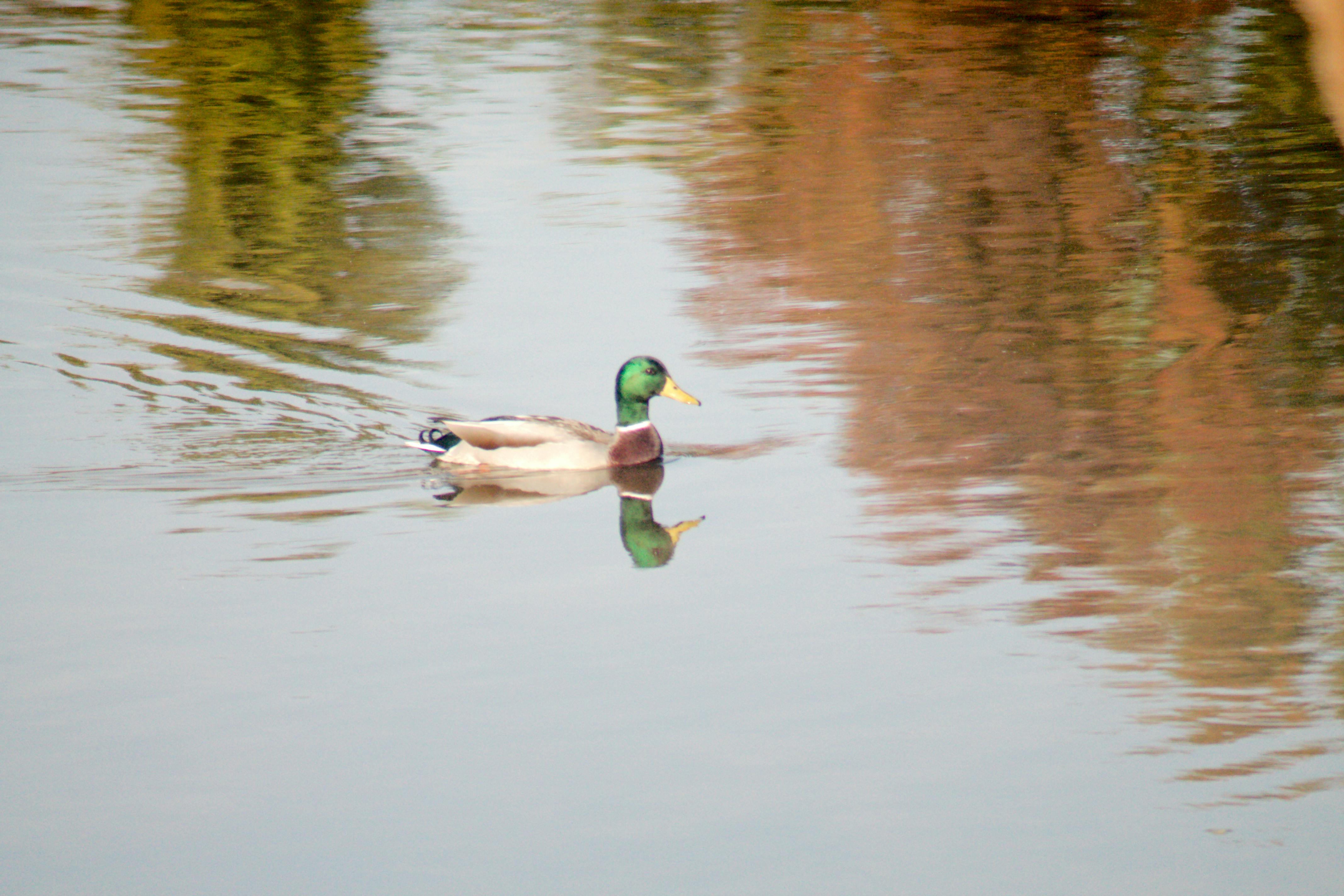 Marcus Goodman - Photography