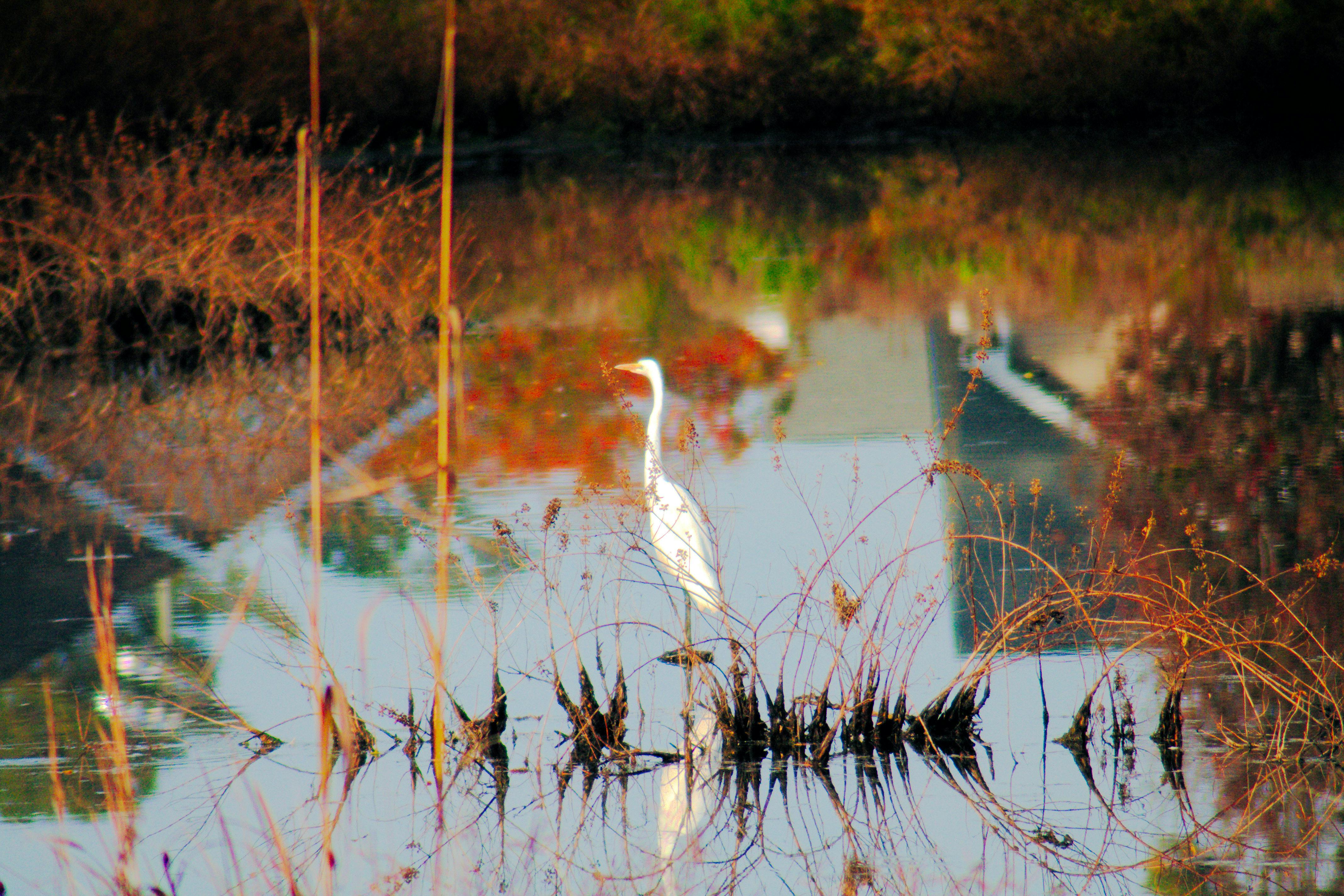 Marcus Goodman - Photography