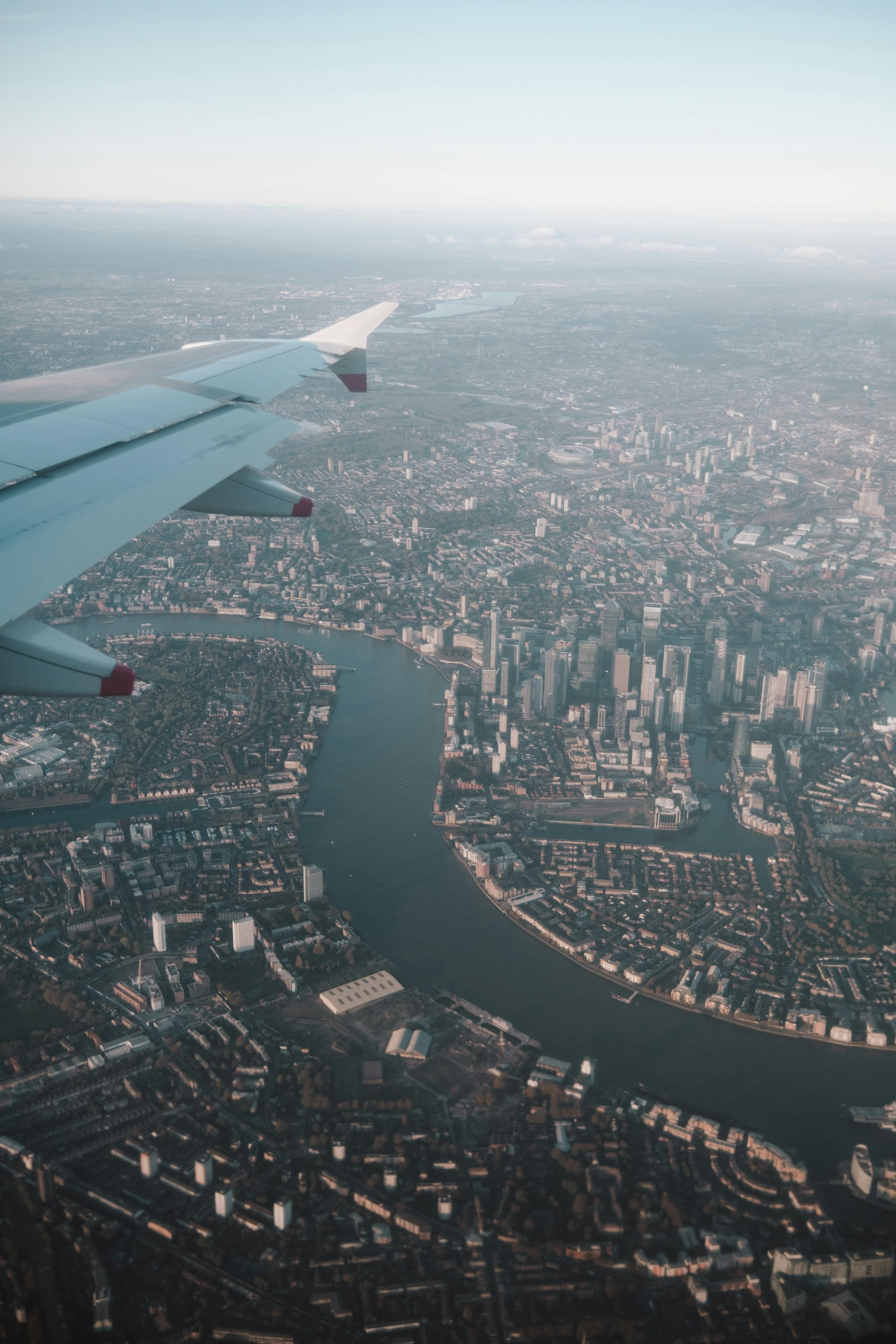 Focused · Free Stock Photo