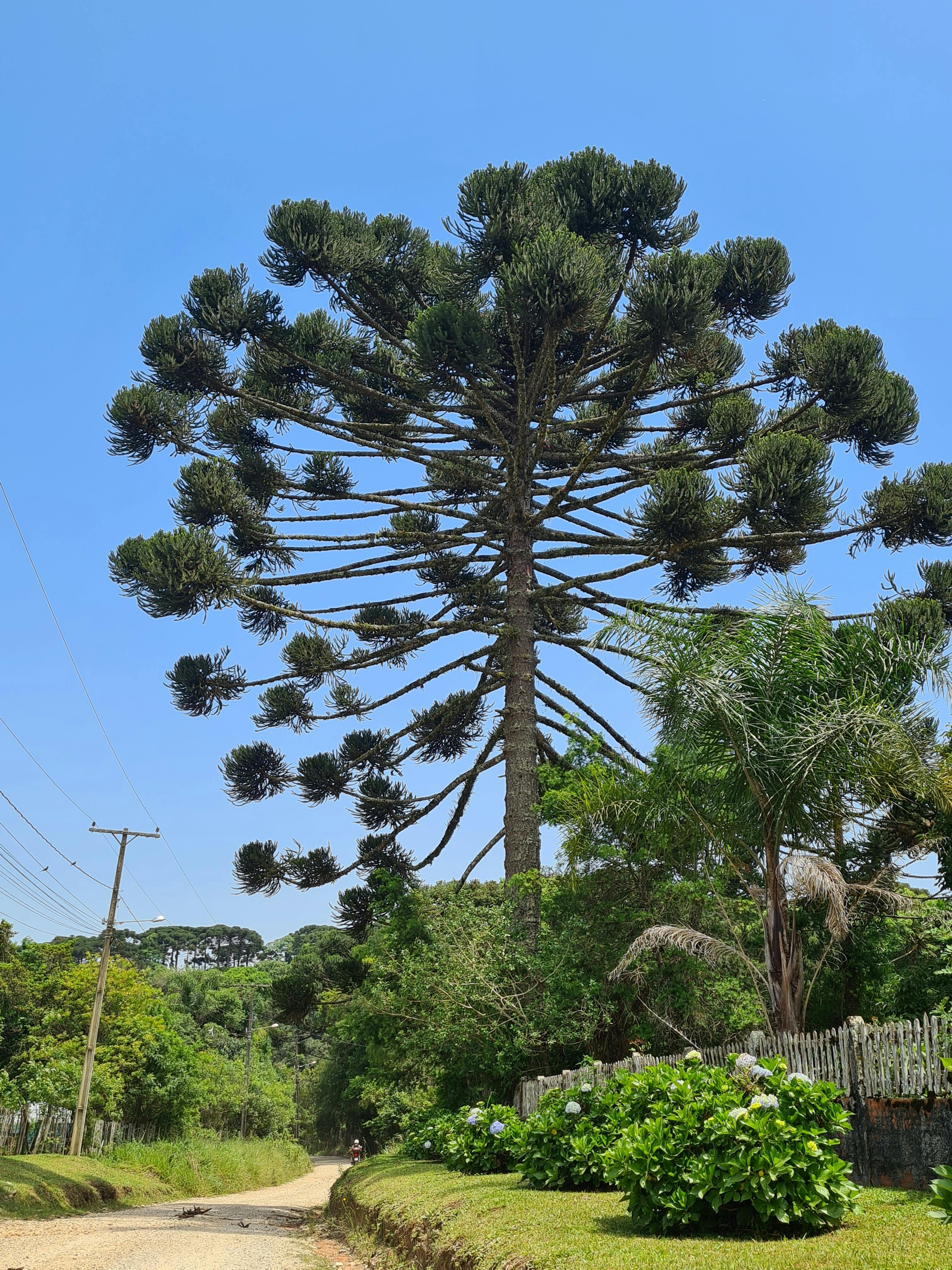 2 Paths Photos, Download The BEST Free 2 Paths Stock Photos & HD Images