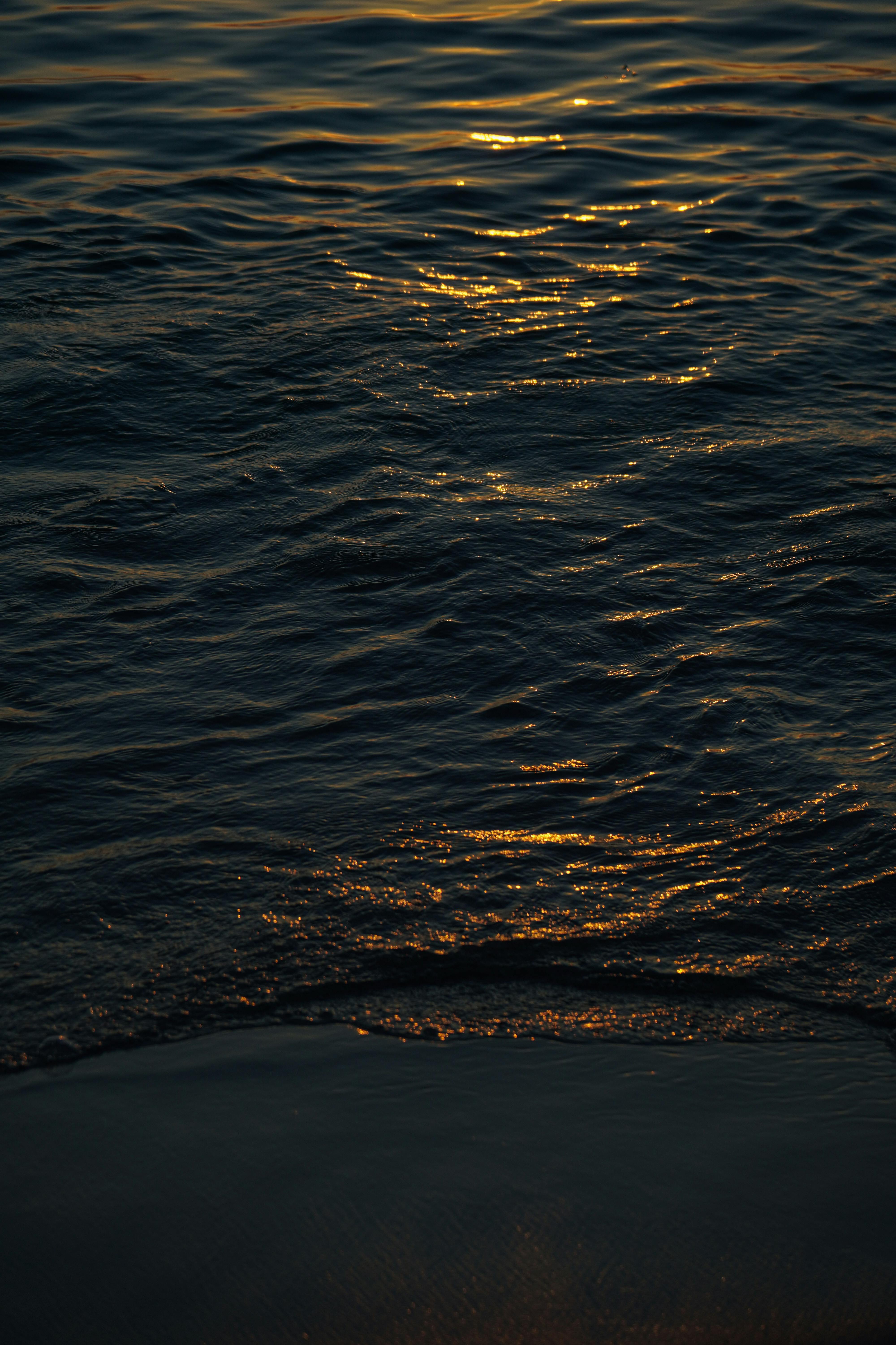 Shiny, Shallow Water on Sea Shore · Free Stock Photo