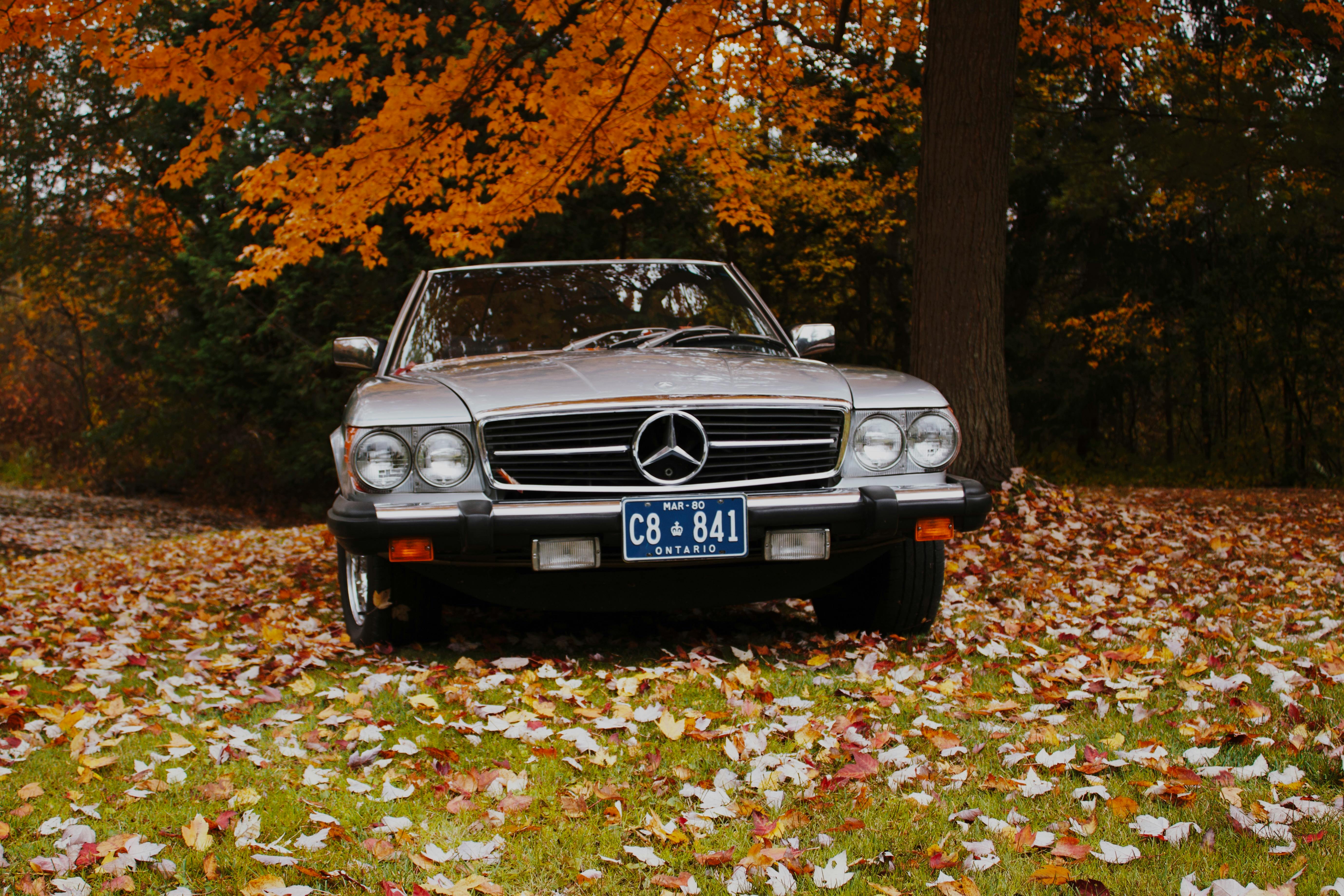 Classic Mercedes SL-Class R107 Parked in the Autumn Forest · Free Stock ...