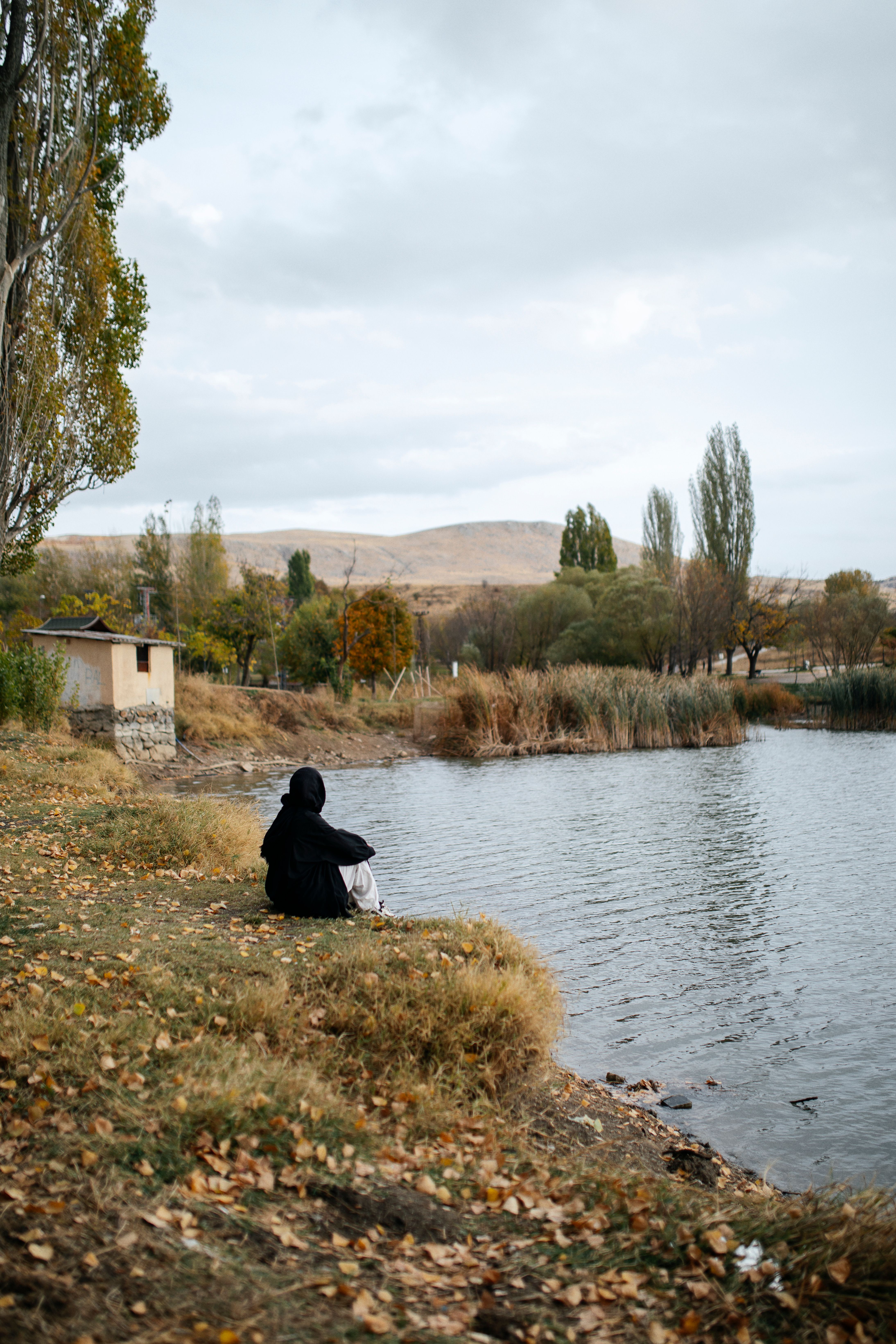 Photo gratuite de arbres, automne, bassin, contemplation, environnement ...
