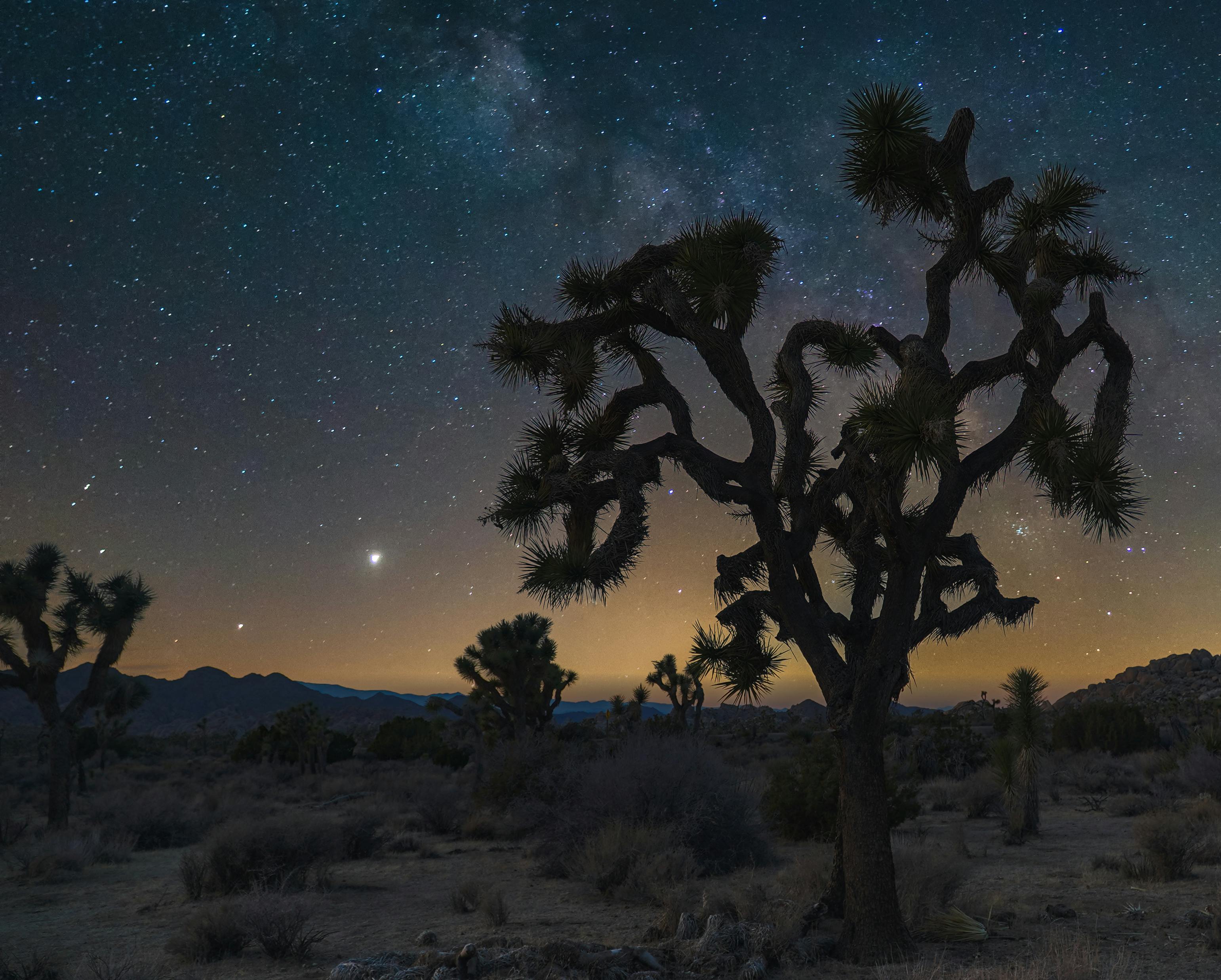 Joshua Tree Stars Photos, Download The BEST Free Joshua Tree Stars ...