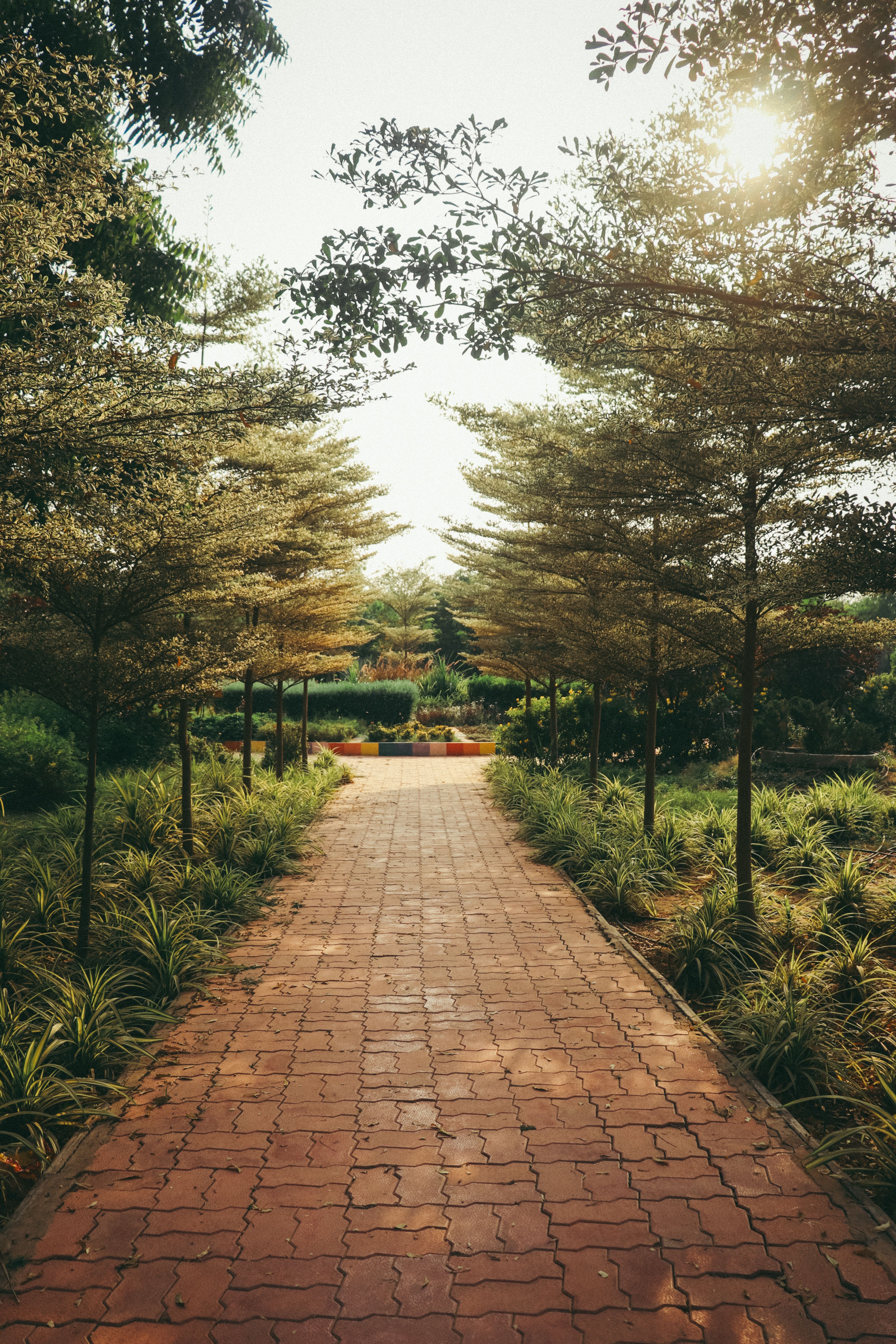 Quiet Garden in the Morning · Free Stock Photo