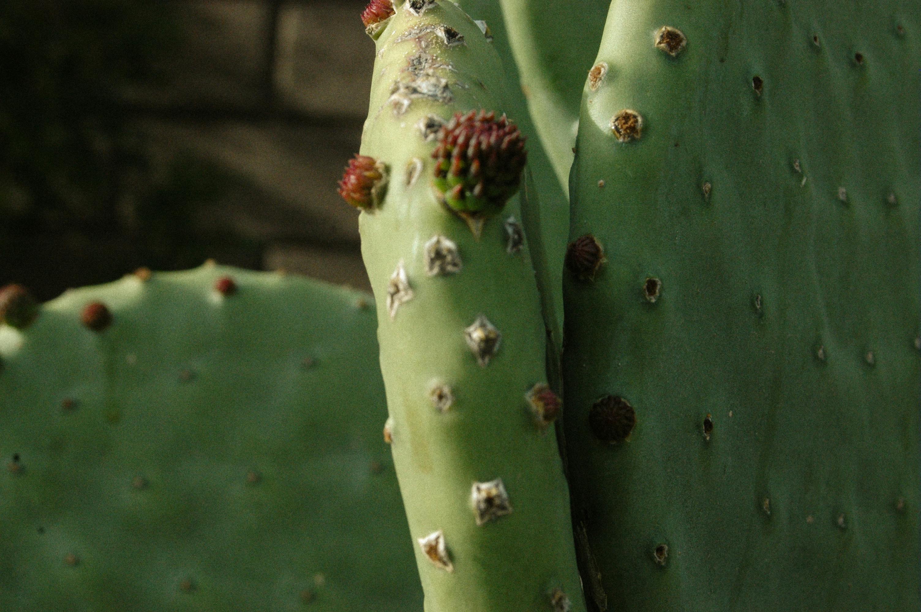 Ellie Smith - 摄影