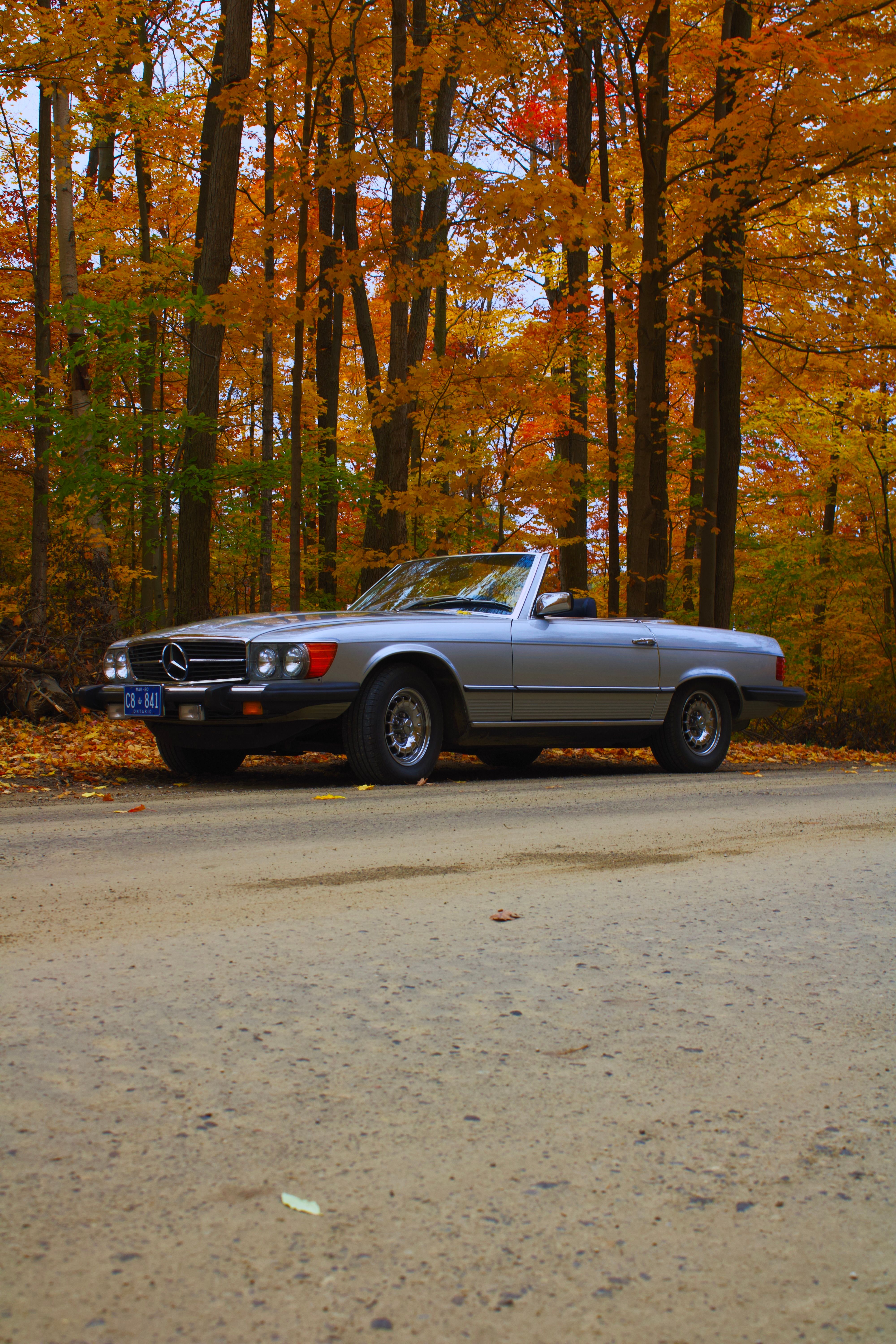 Mercedes-Benz R107 Parked on Roadside under Autumn Trees · Free Stock Photo