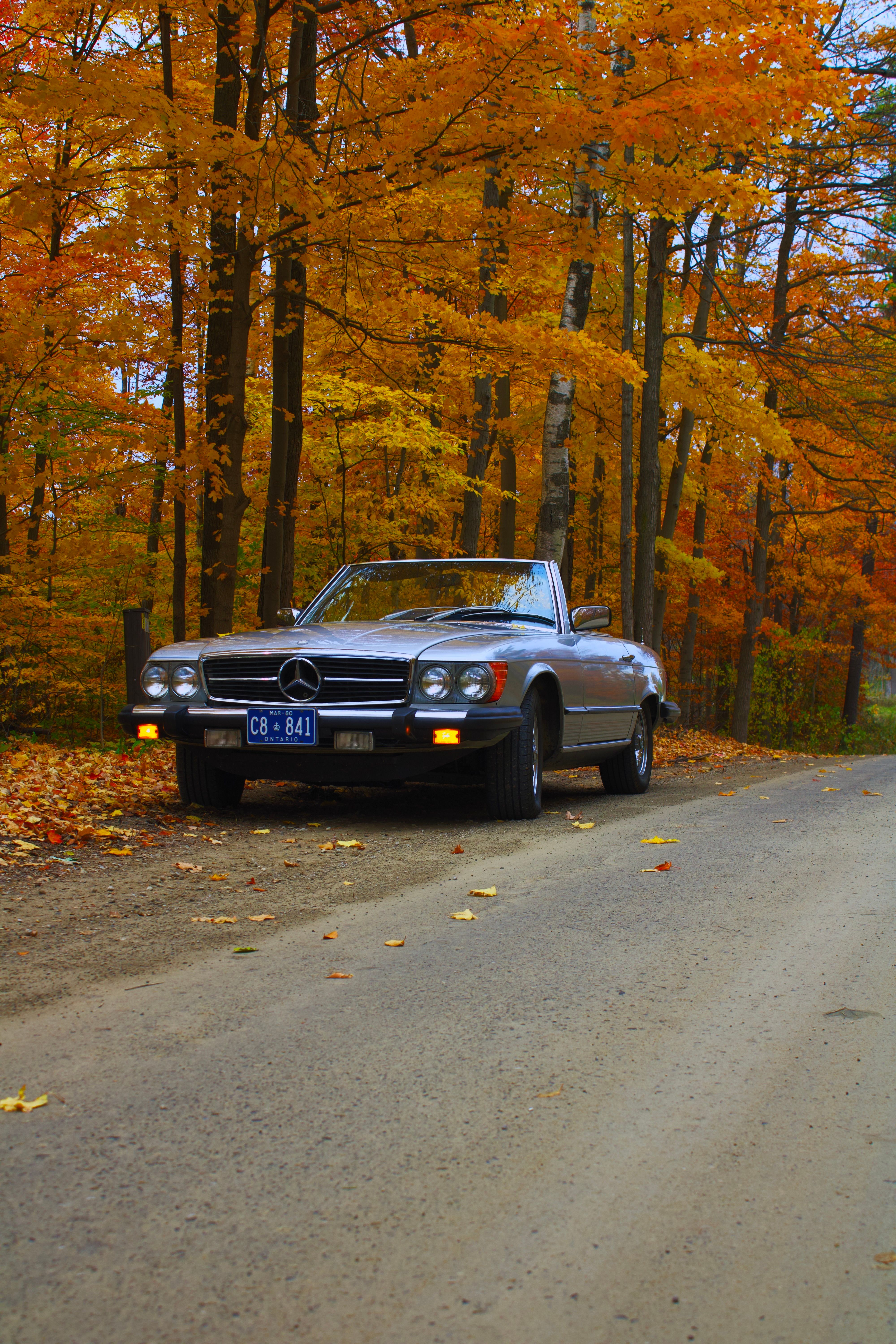 Mercedes-Benz R107 Parked on Roadside under Autumn Trees · Free Stock Photo