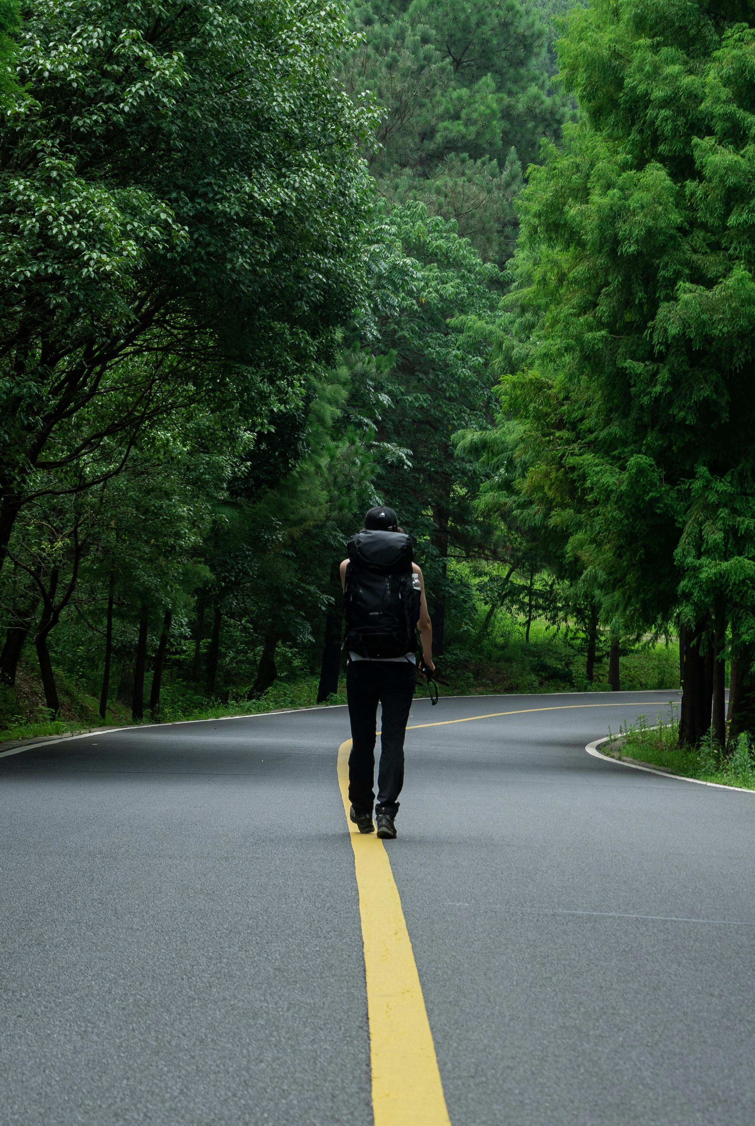 Person with a Backpack Walking on the Street in the Forest · Free Stock ...
