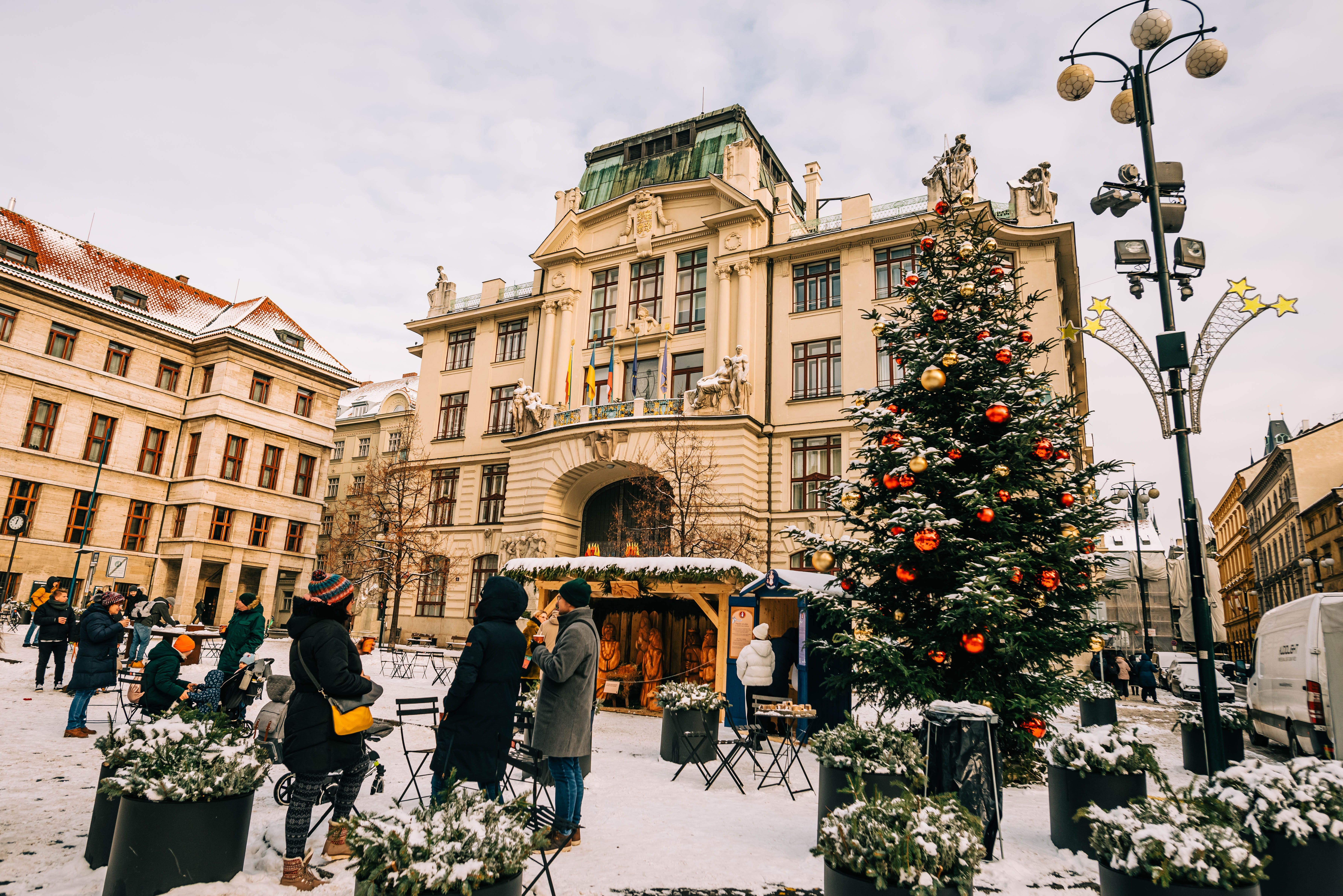 Christmas Tree in the Prague Old Town, Czech Republic · Free Stock Photo