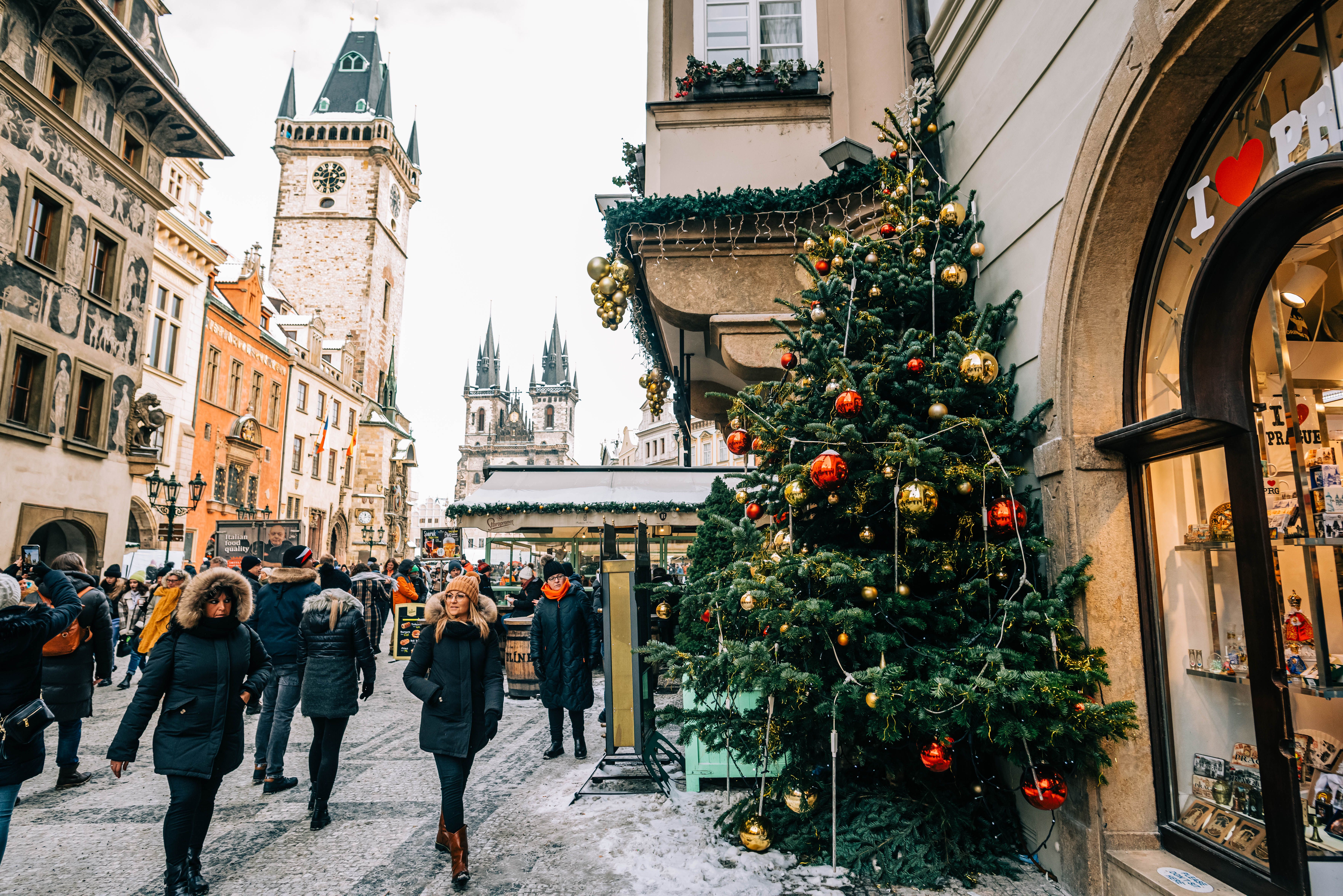 Christmas Tree in the Prague Old Town, Czech Republic · Free Stock Photo
