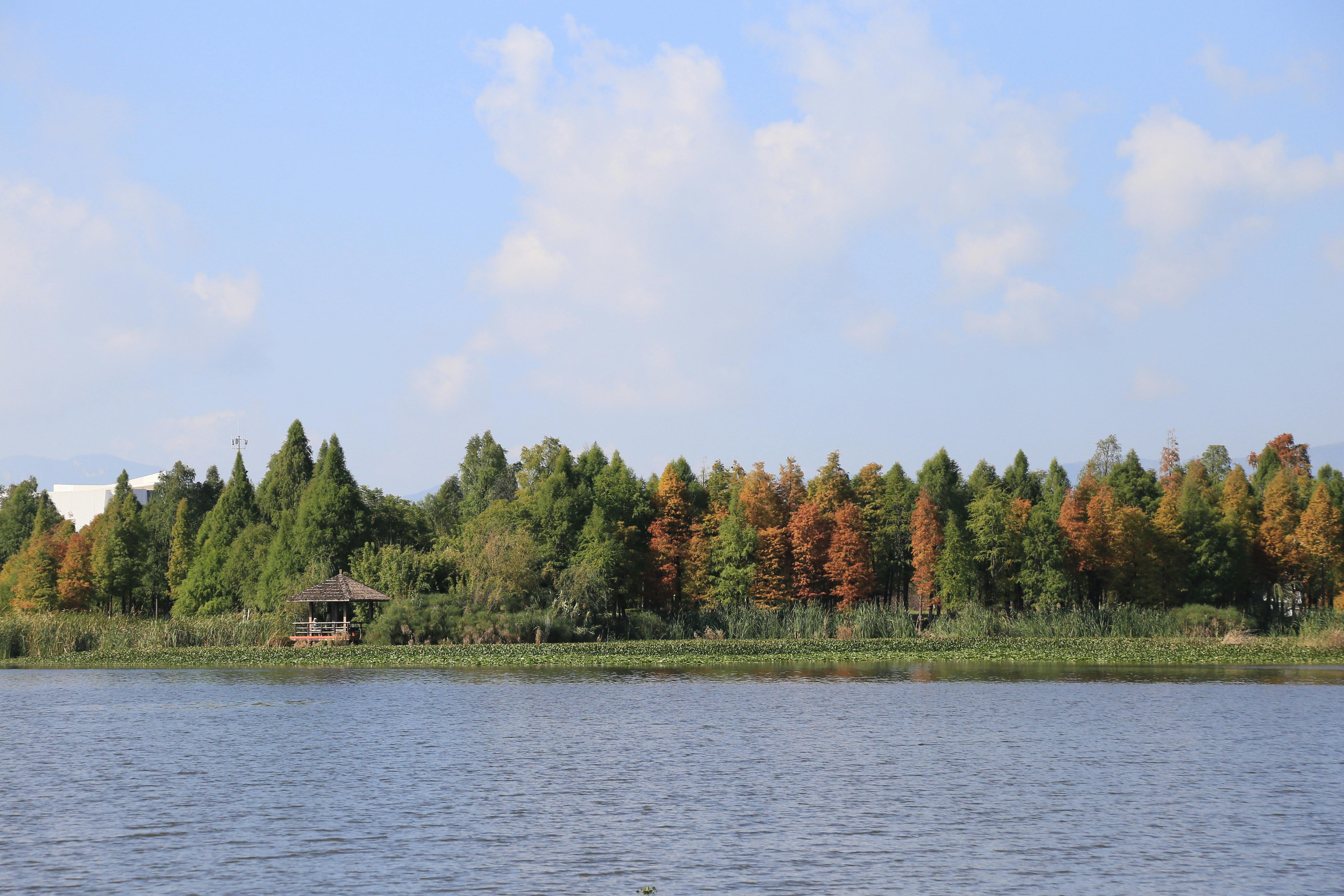 Dipsy Slendytubbies 3 Lake Photos, Download The BEST Free Dipsy ...