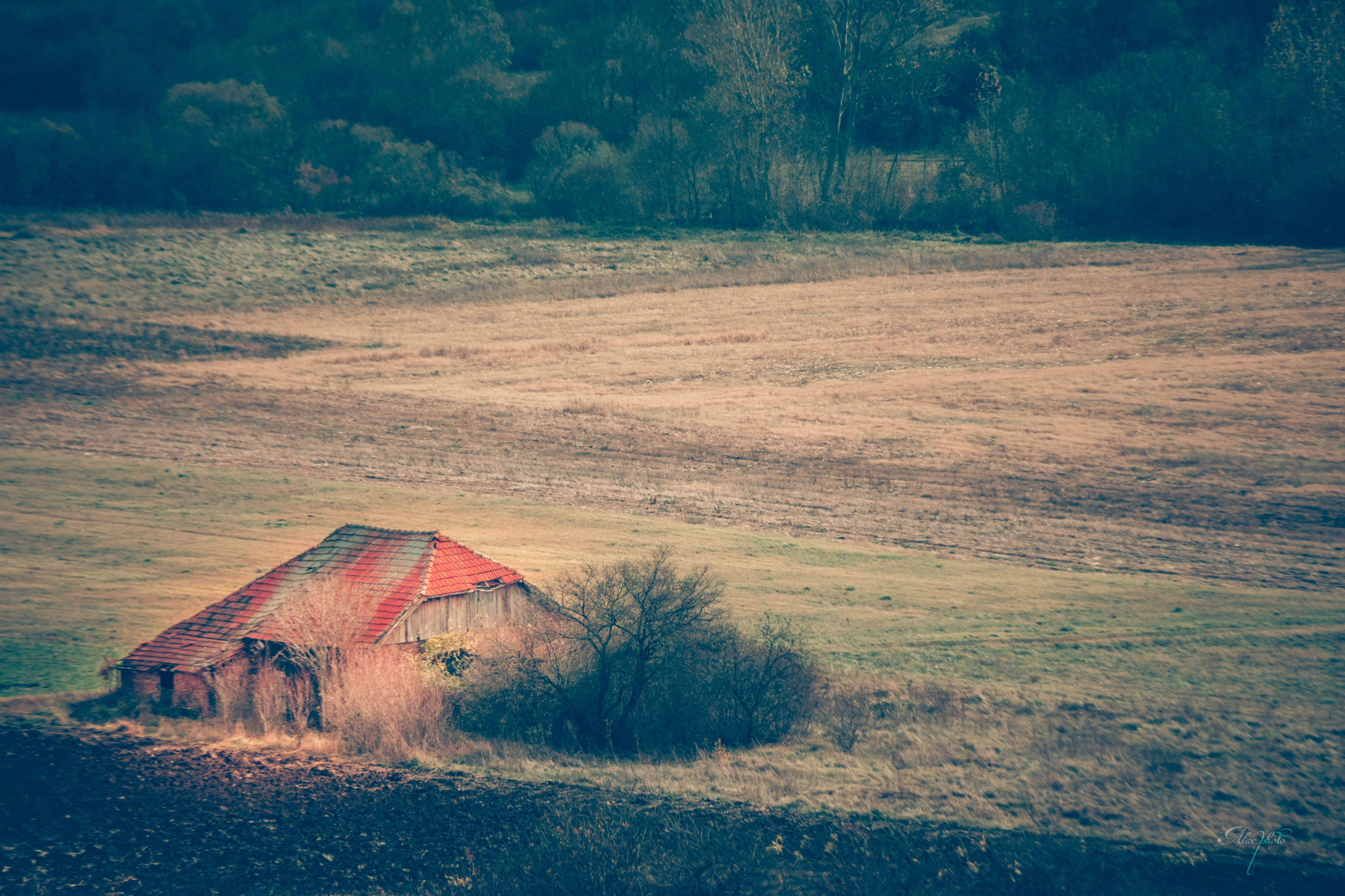 An Abandoned House on a Field in the Countryside · Free Stock Photo