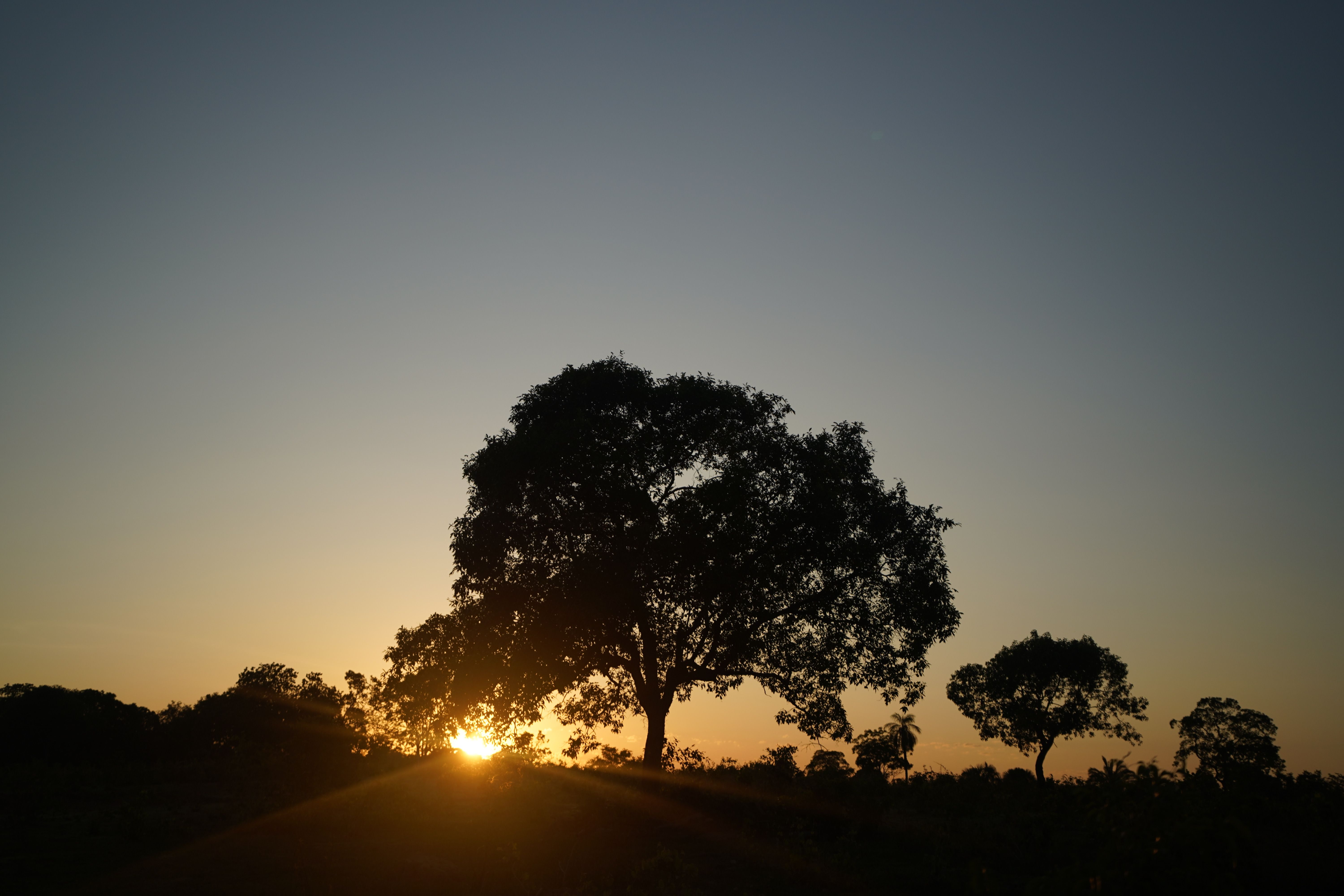 Foto profissional gratuita de amor da natureza, ao ar livre, áreas ...
