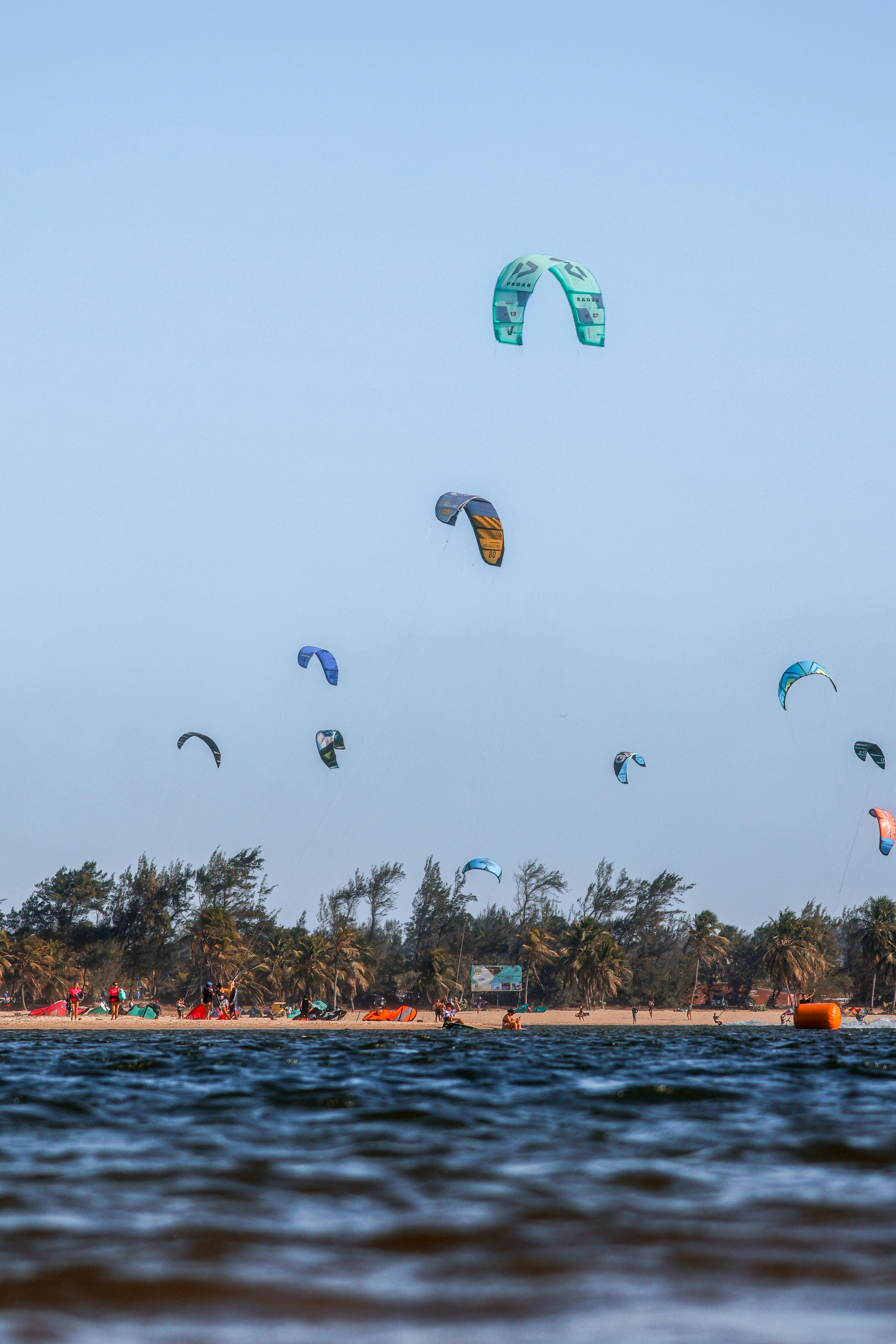 Kites Flying over Sea Coast · Free Stock Photo