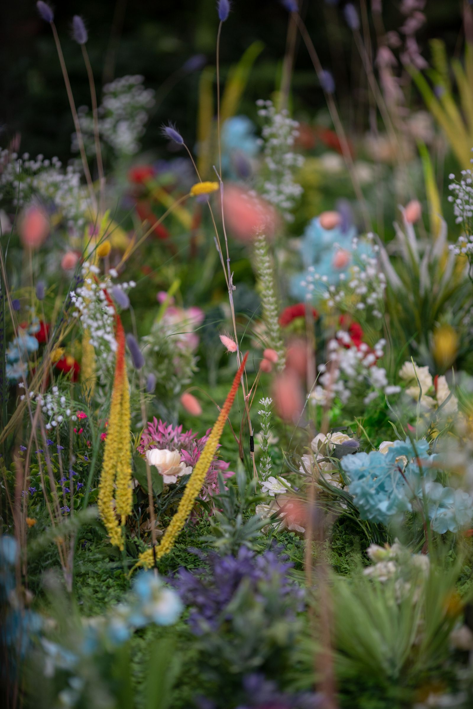 Garden 8k Photos, Download The BEST Free Garden 8k Stock Photos & HD Images