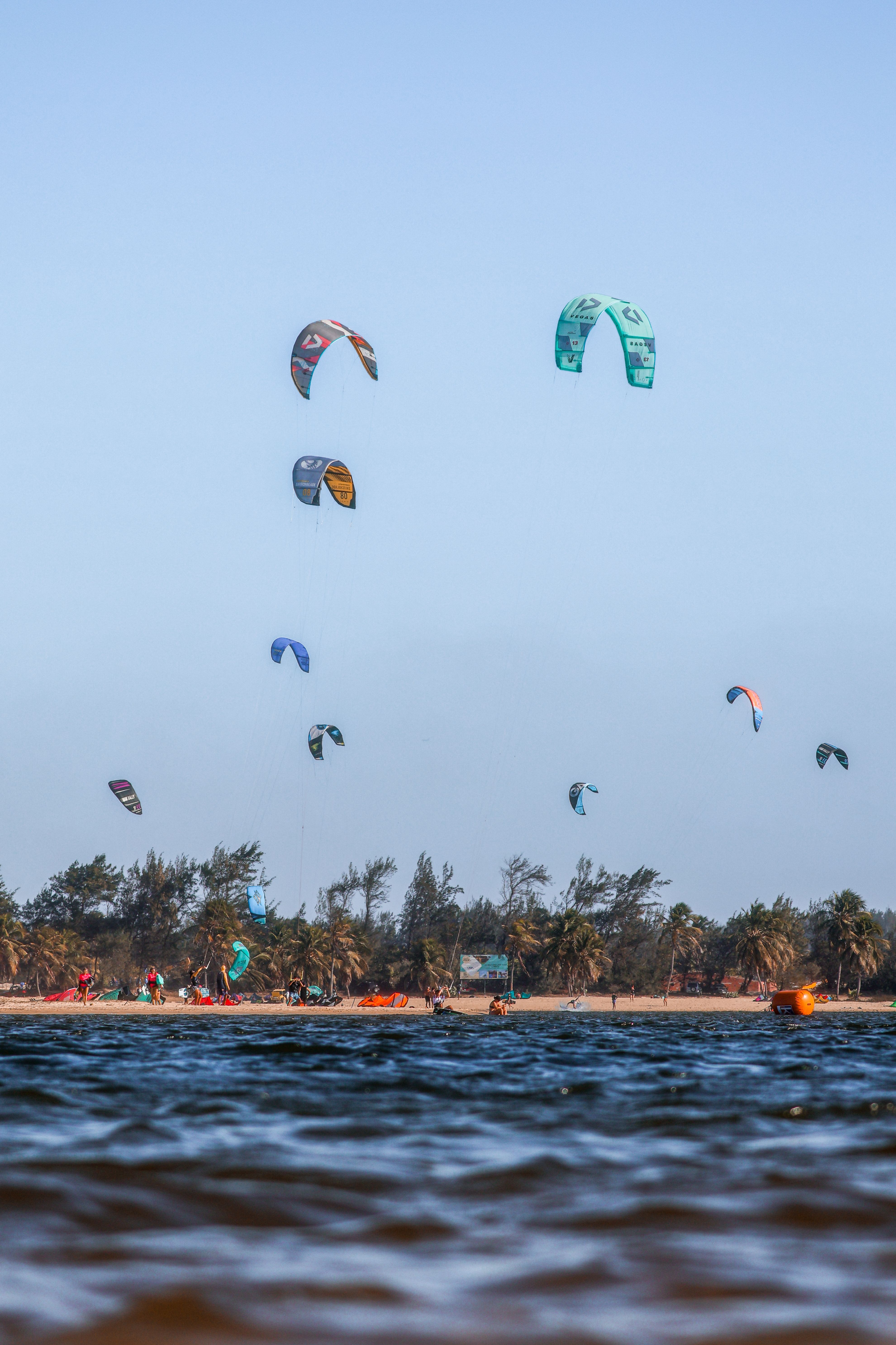 Kites on the Beach · Free Stock Photo