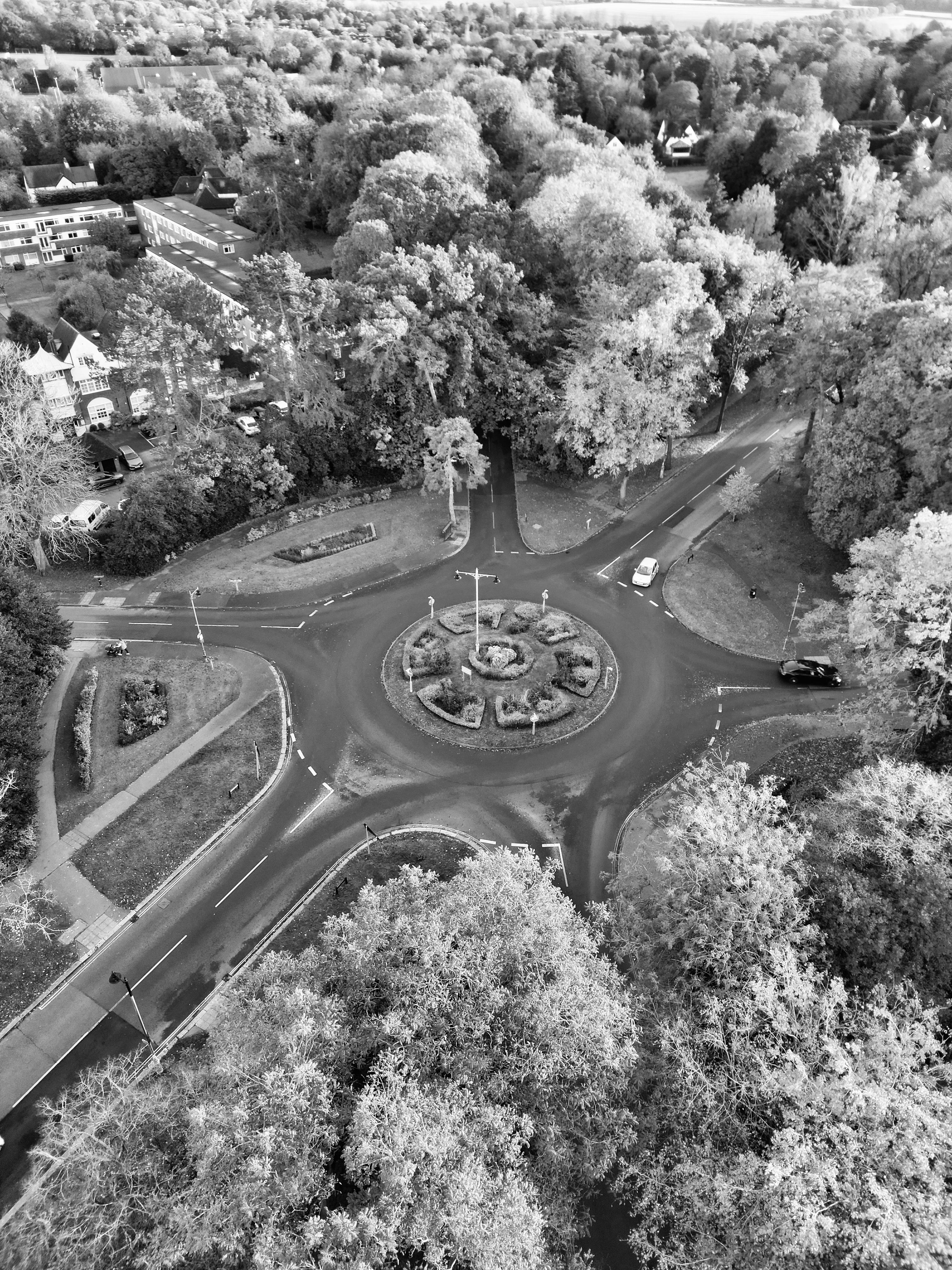 Trees around Roundabout in Black and White · Free Stock Photo