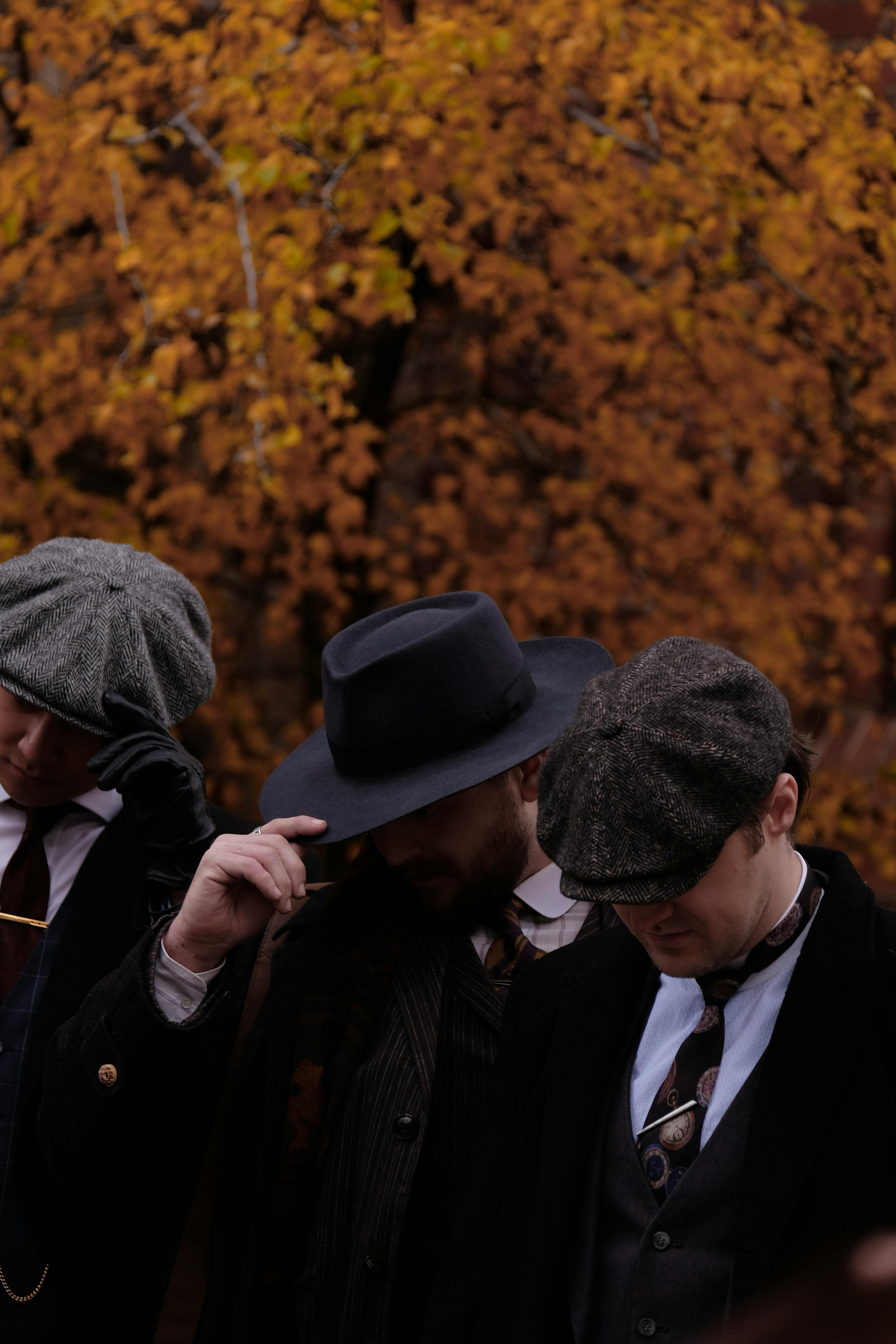 Ivy Caps Photos, Download The BEST Free Ivy Caps Stock Photos & HD Images