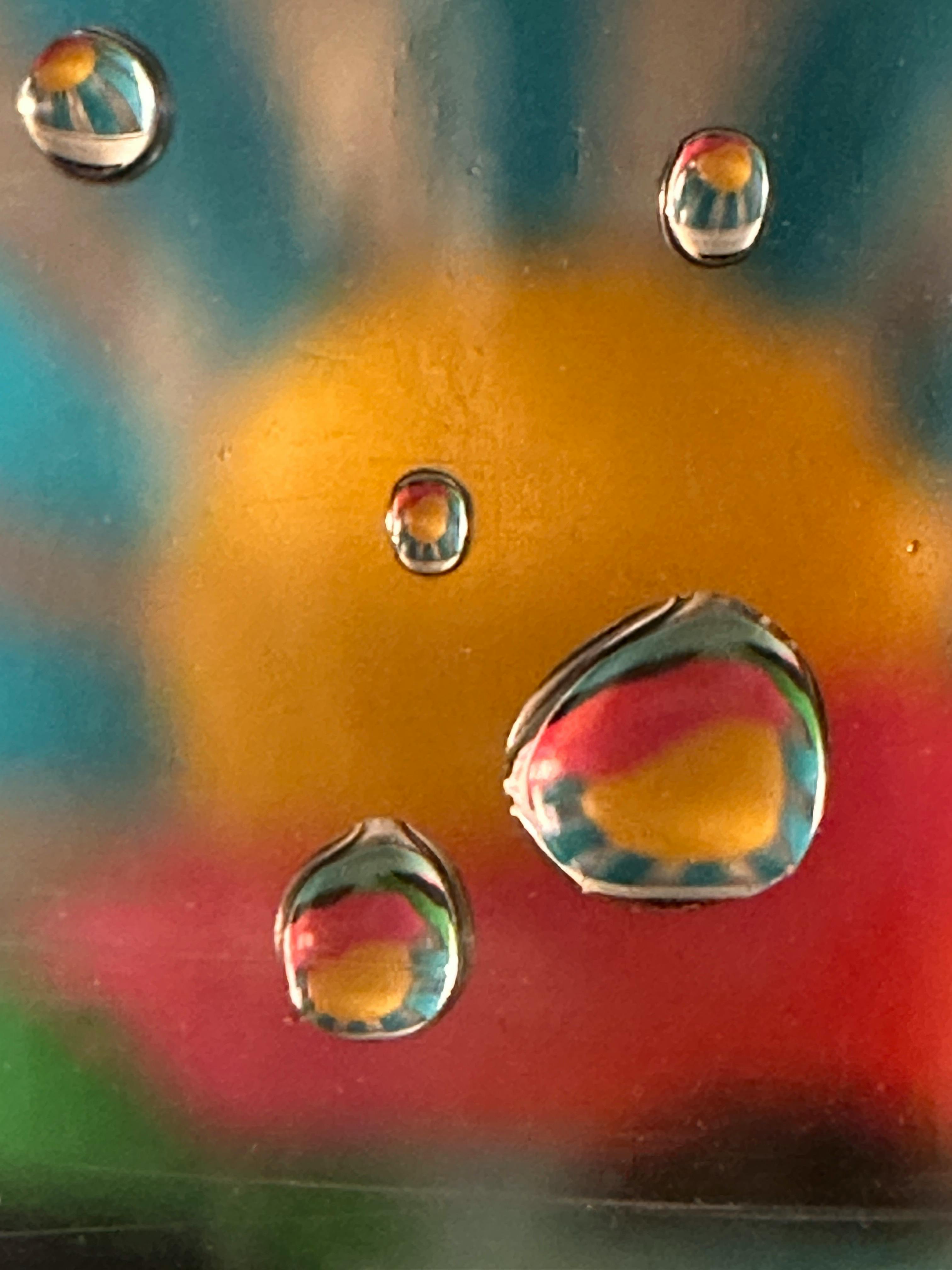 Leslie Saunders - 사진