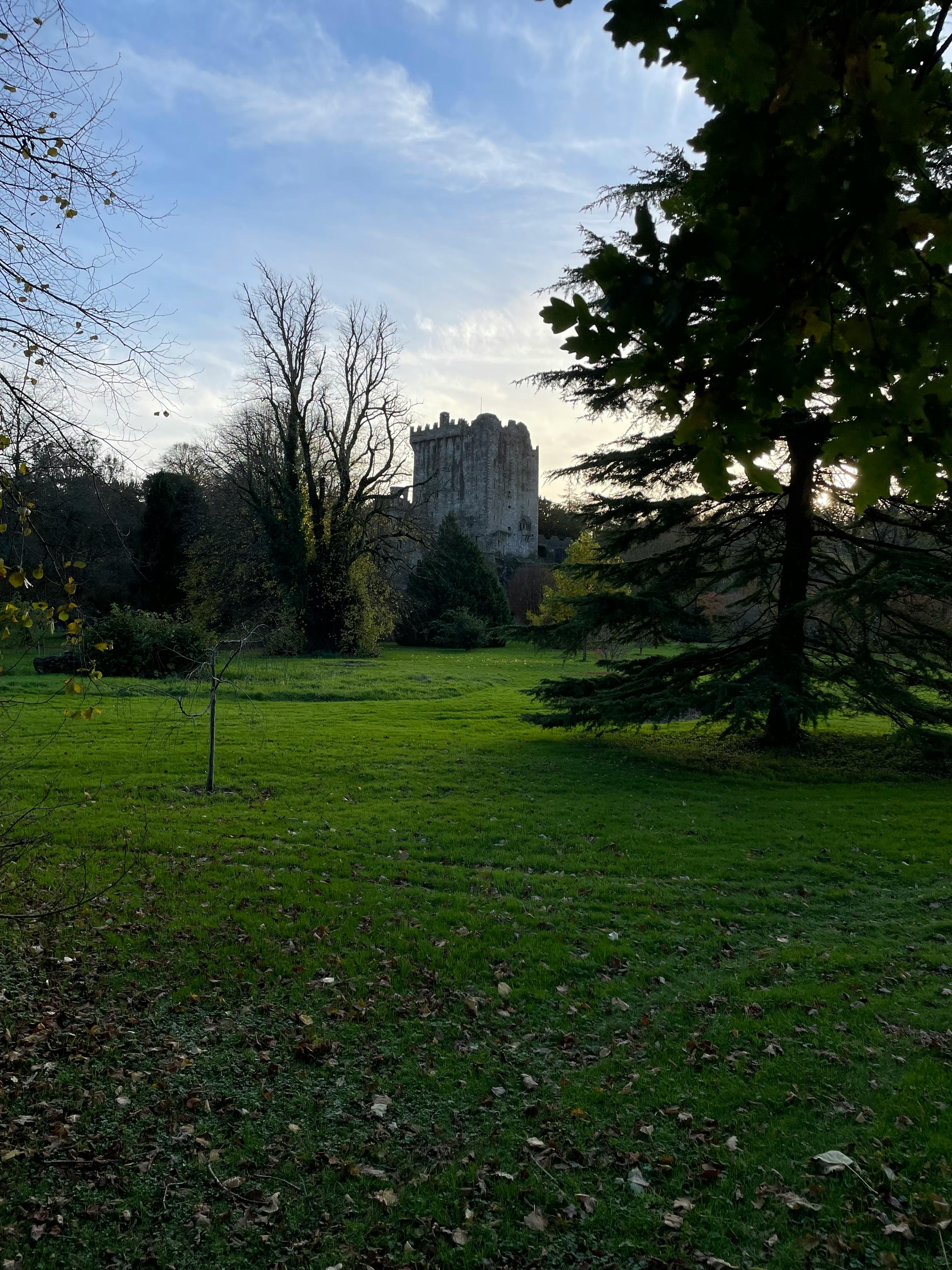 Michael Currie - 사진