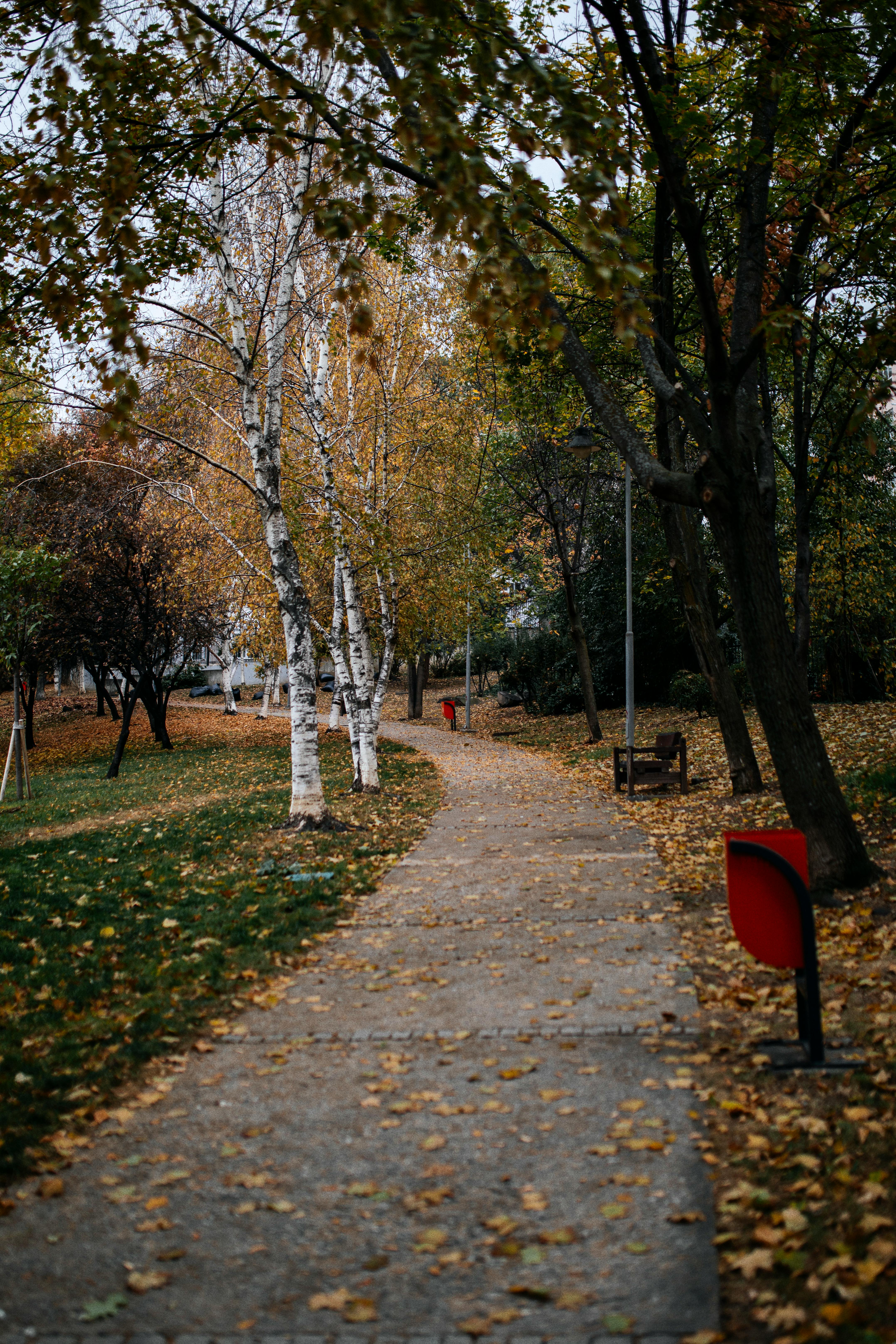 A Walkway in the Park in Autumn · Free Stock Photo