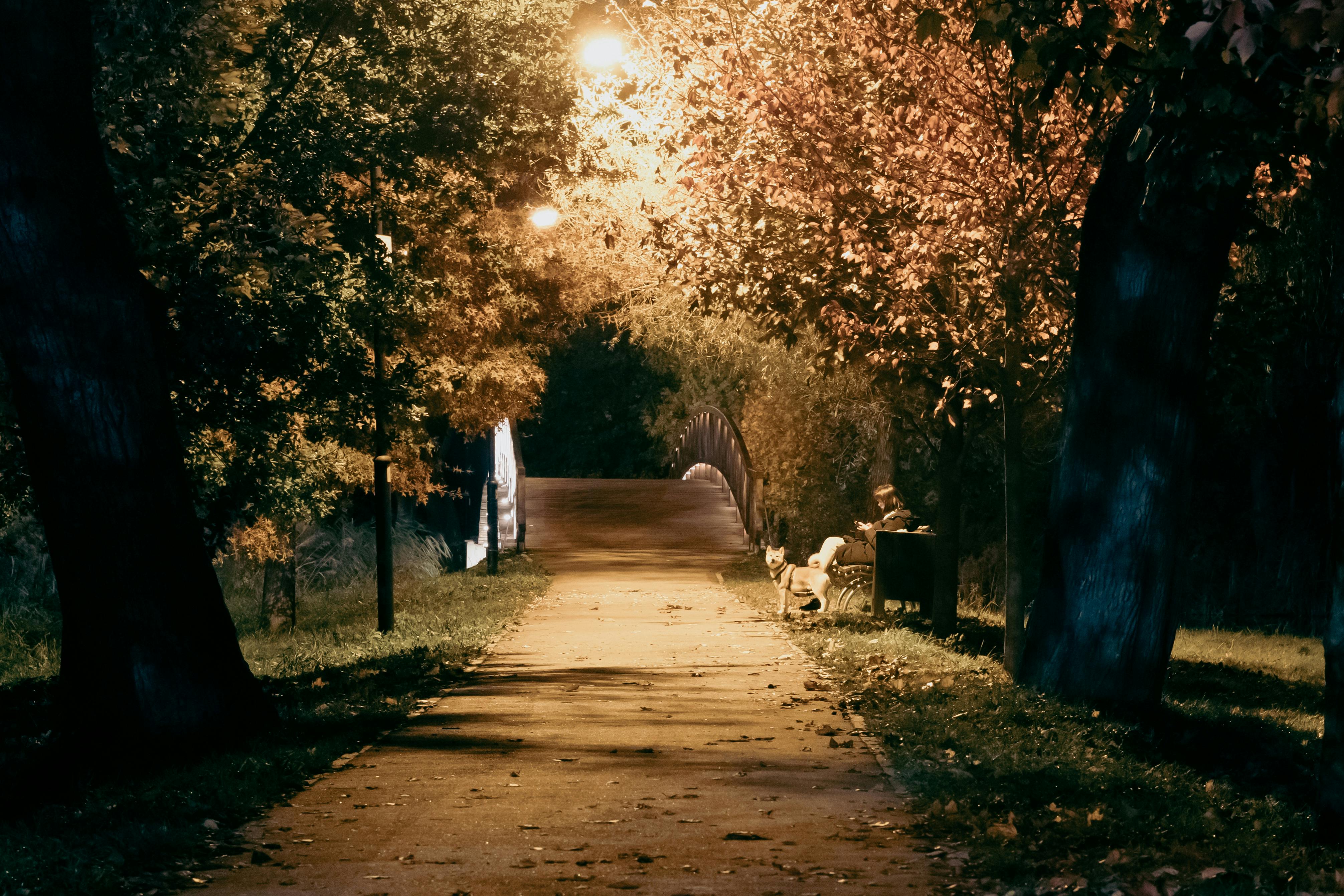 Piotr Baranowski - Fotografía