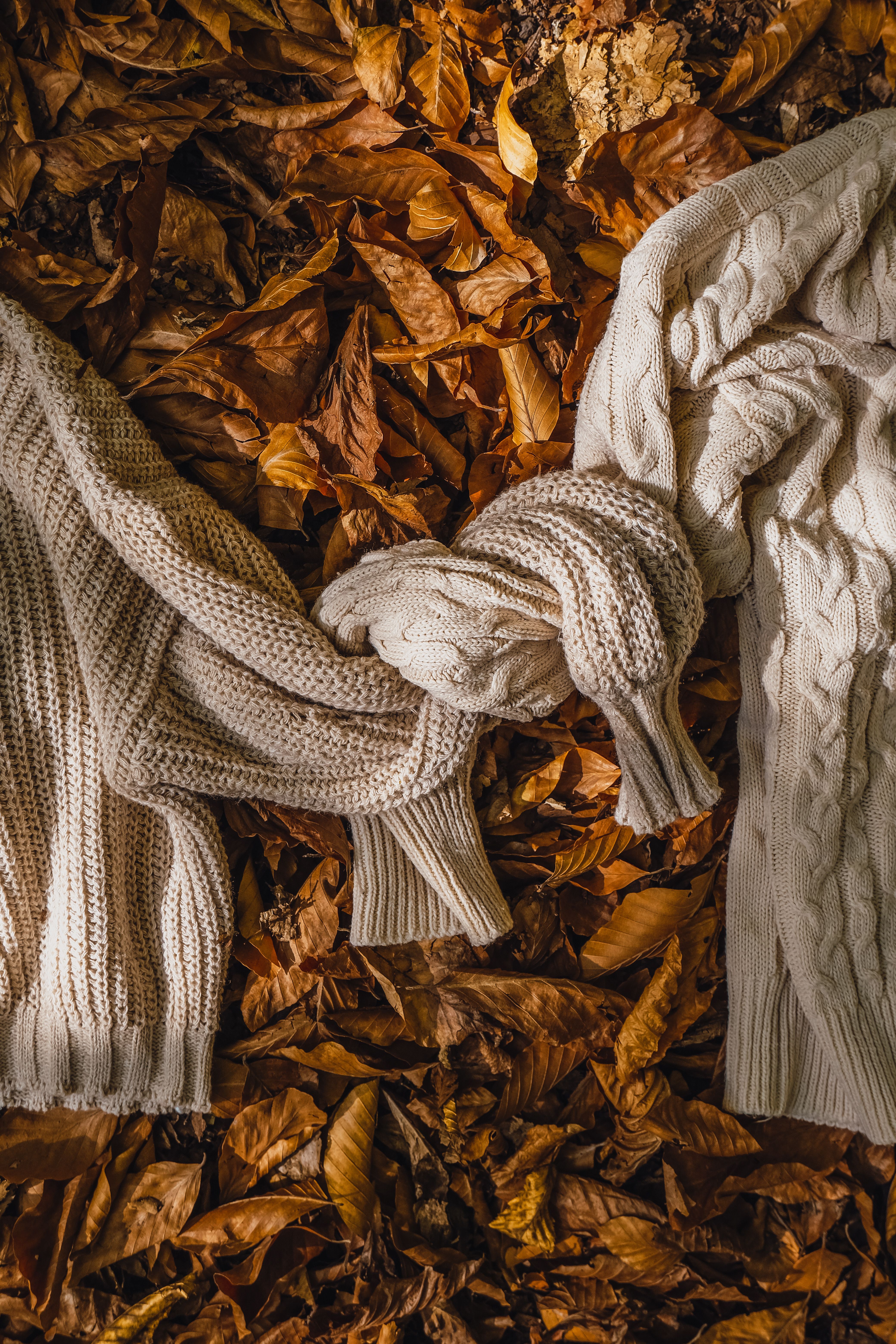 Two white sweaters laying on top of leaves · Free Stock Photo