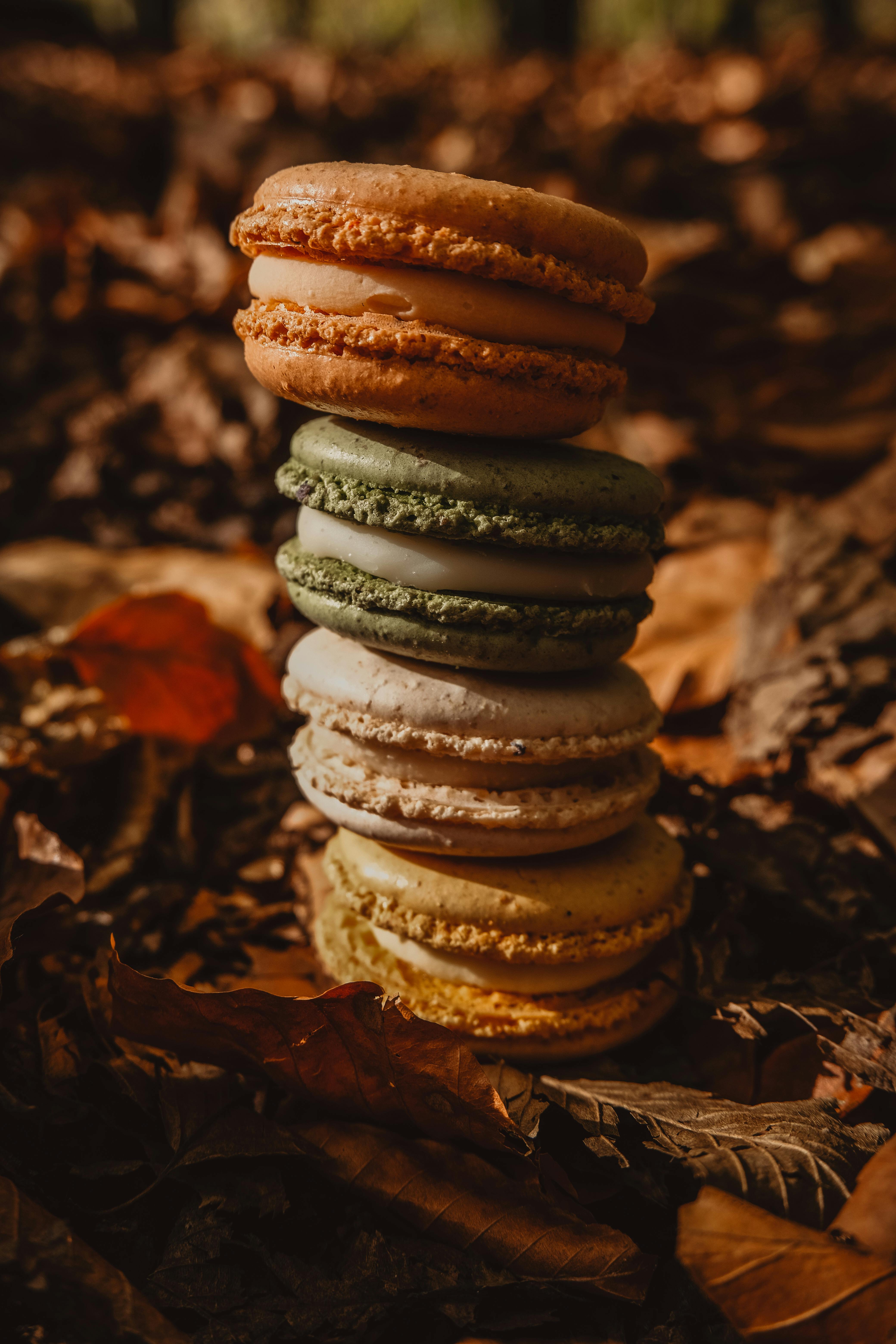 Close up of Colorful Macarons Cookies · Free Stock Photo