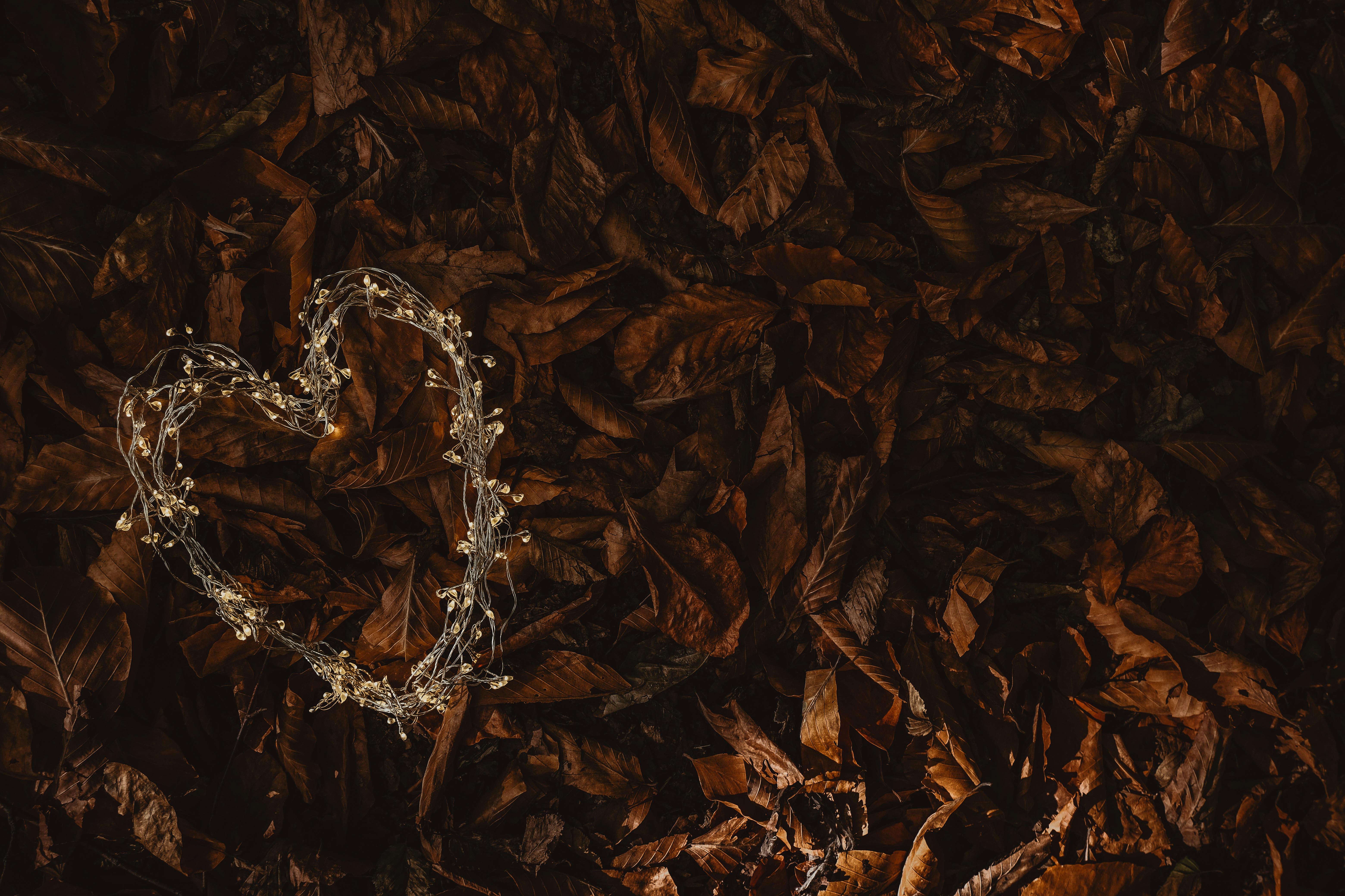 Close-up of Heart Shape · Free Stock Photo