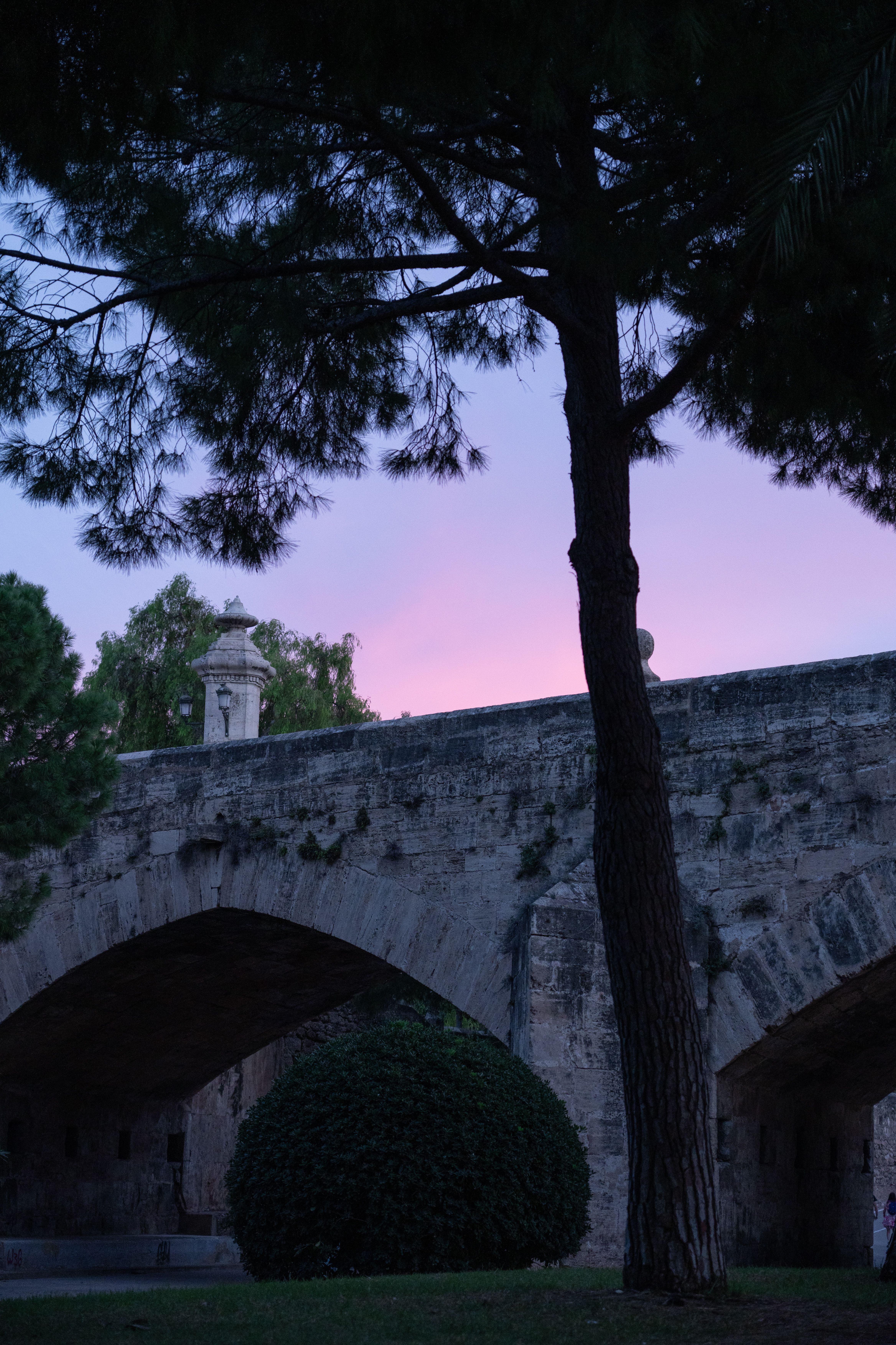 Tree and Stone Bridge at Dusk · Free Stock Photo
