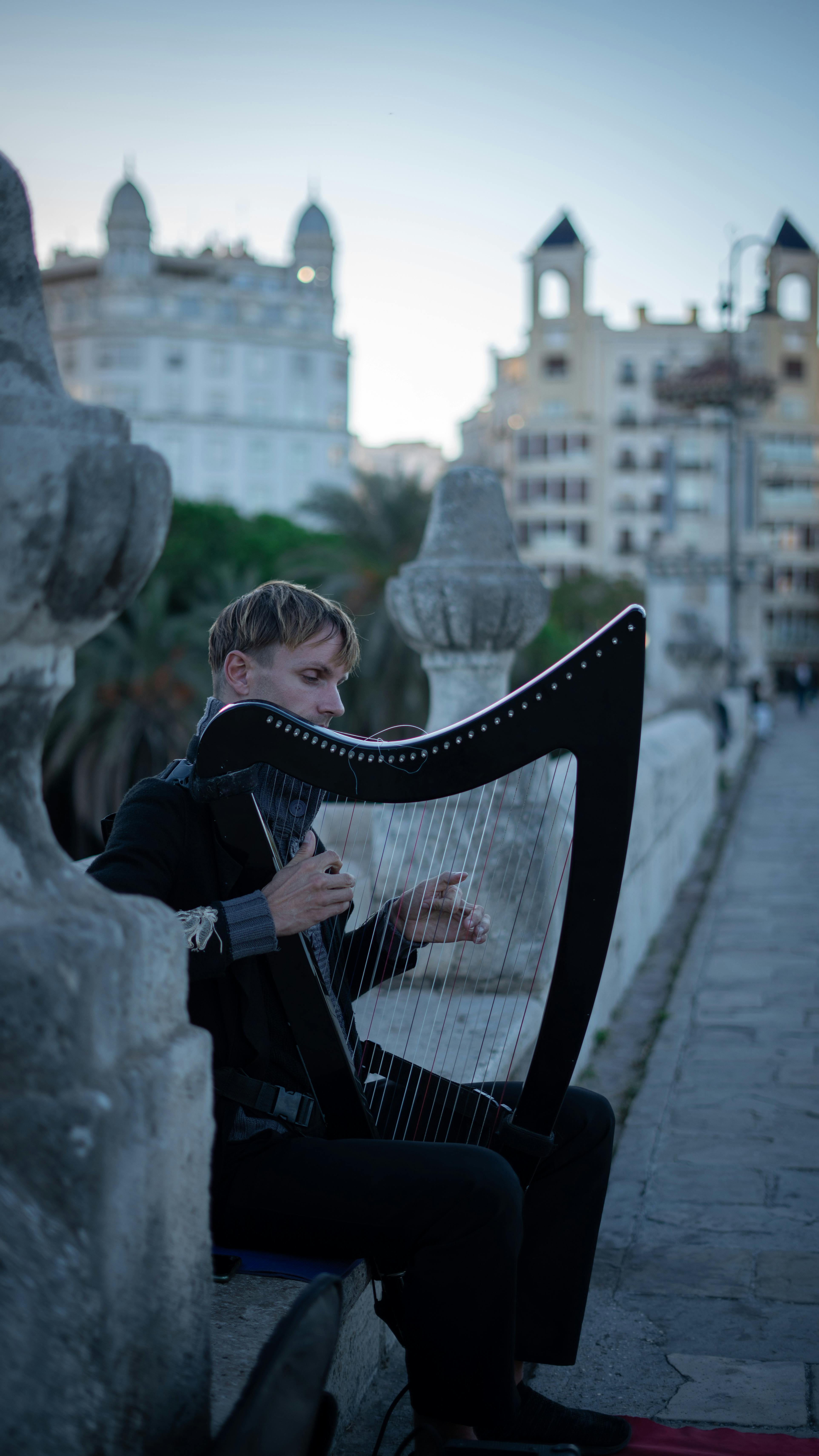 Harp Photos, Download The BEST Free Harp Stock Photos & HD Images