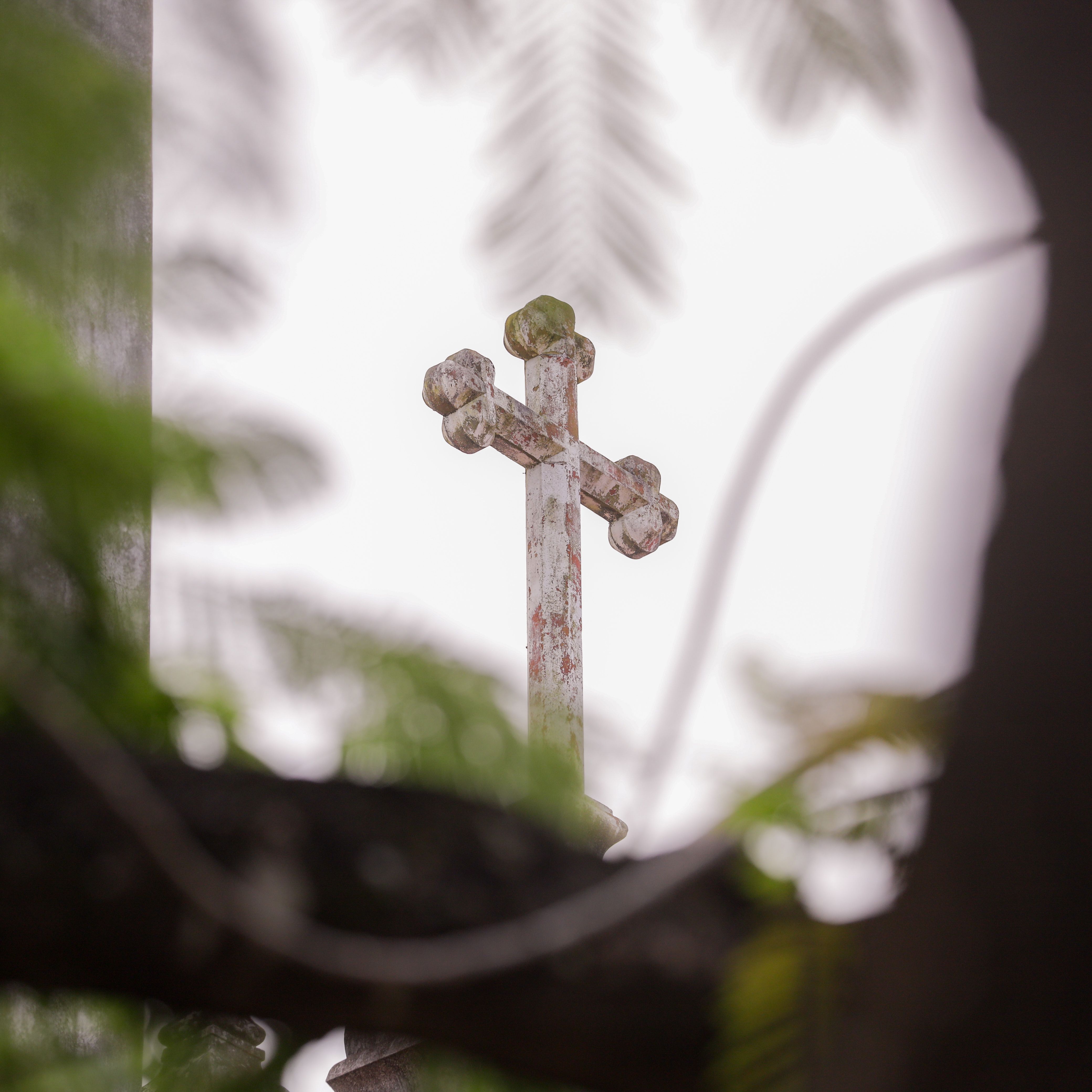 Stone Cross Monument in Reeds · Free Stock Photo