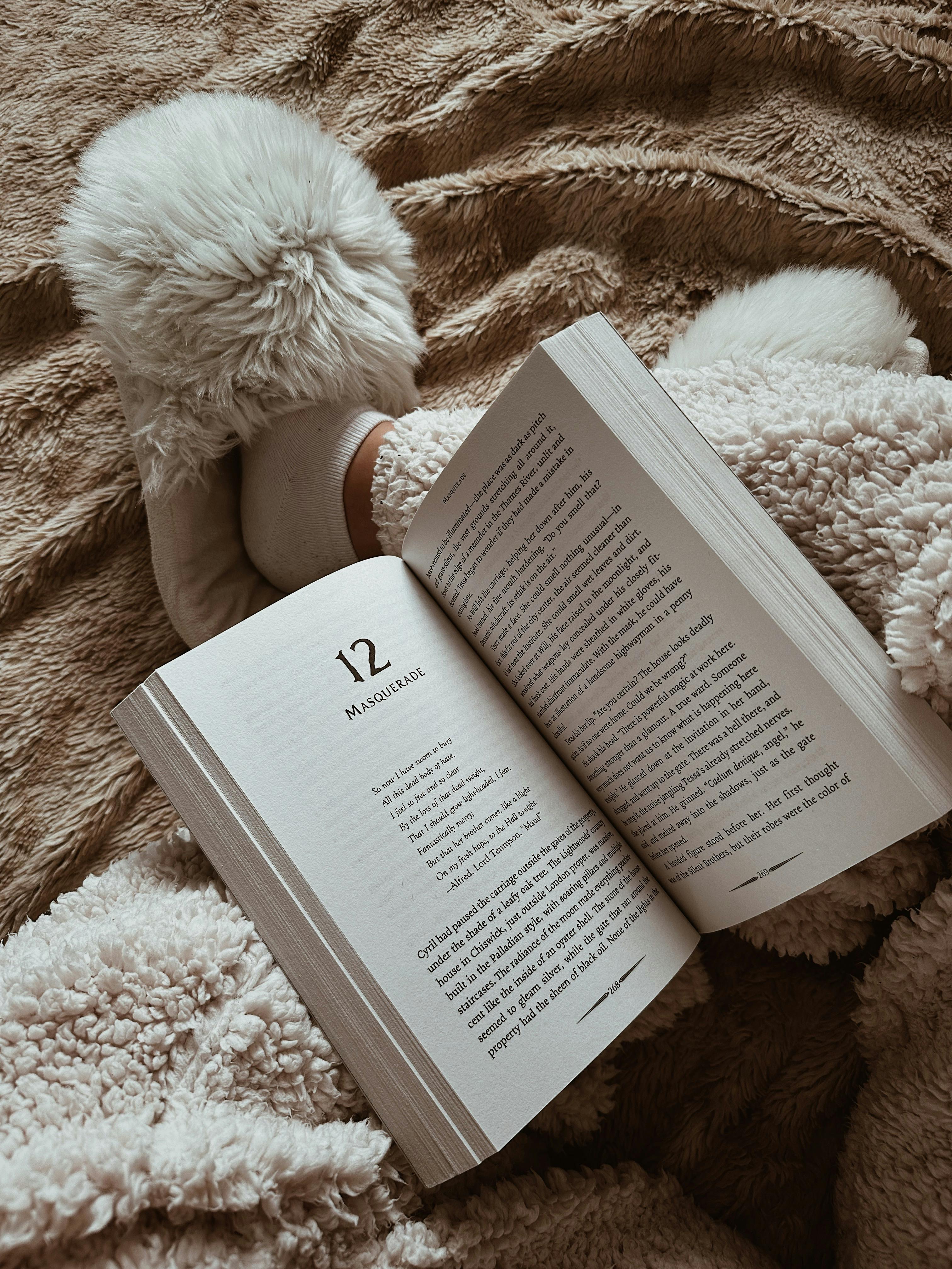 Chapter 12 Photos, Download The BEST Free Chapter 12 Stock Photos & HD ...