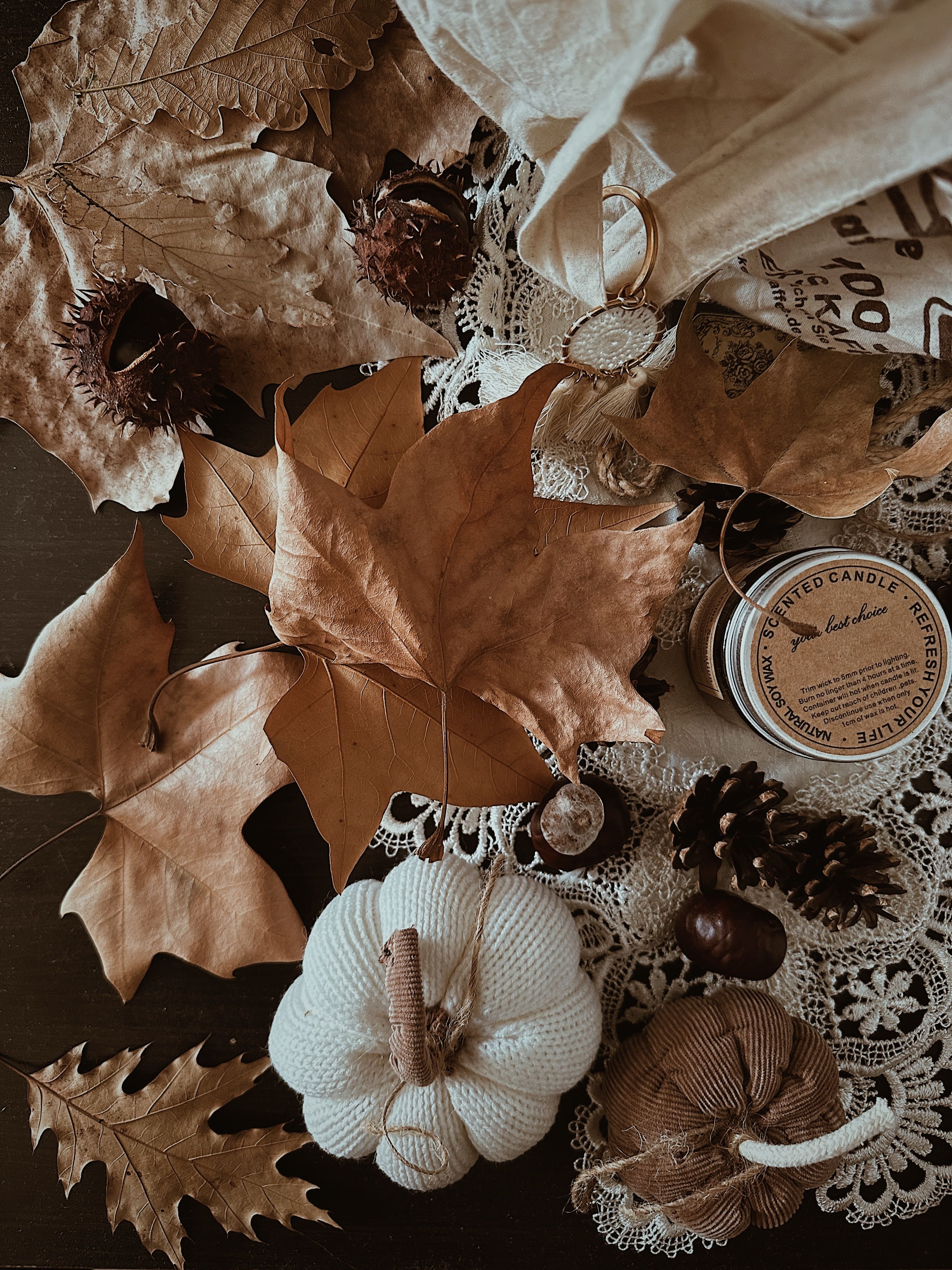 Pie for Thanksgiving · Free Stock Photo