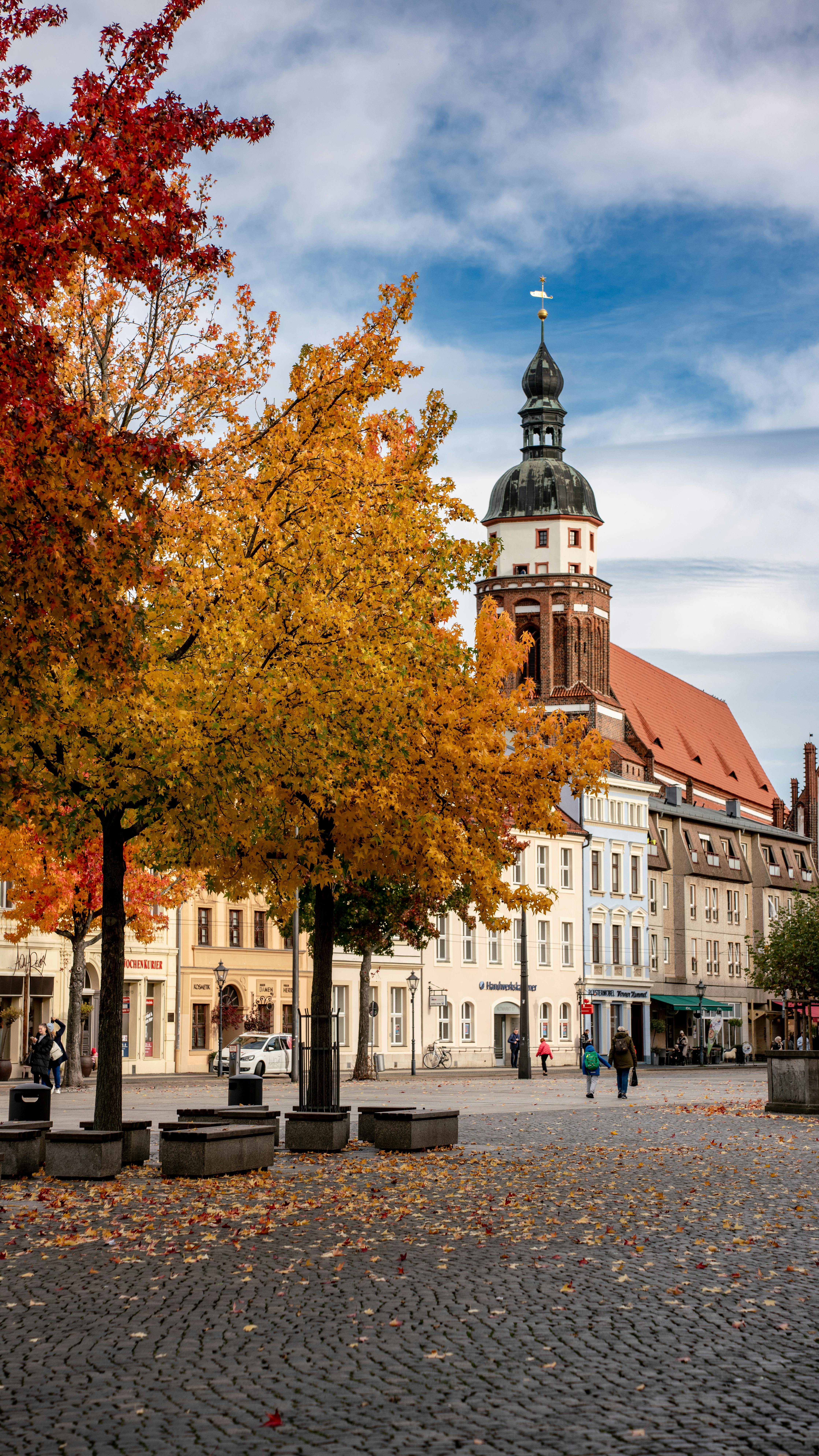 Colorful Trees on Square in Town · Free Stock Photo