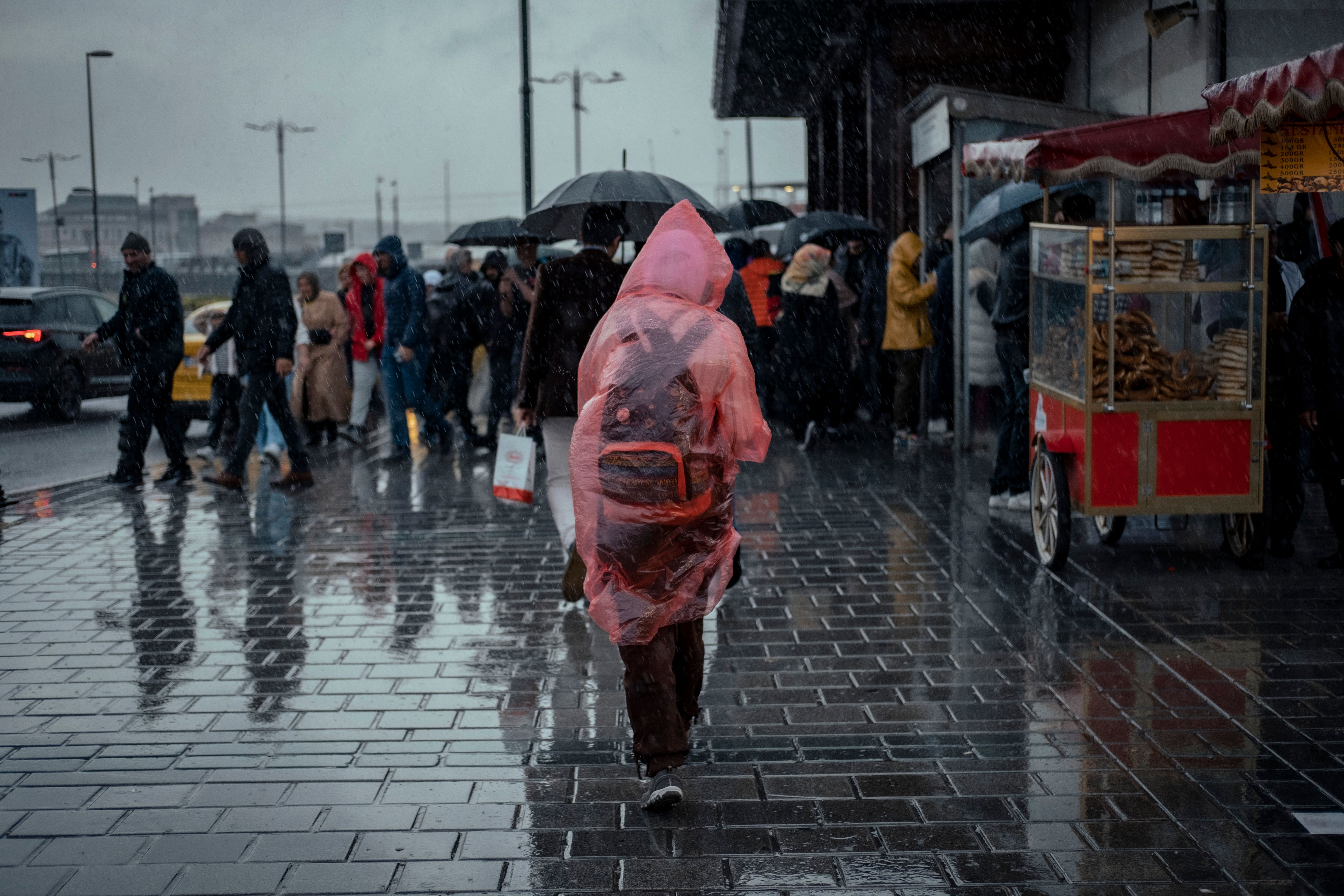 People on a Street During Rain · Free Stock Photo