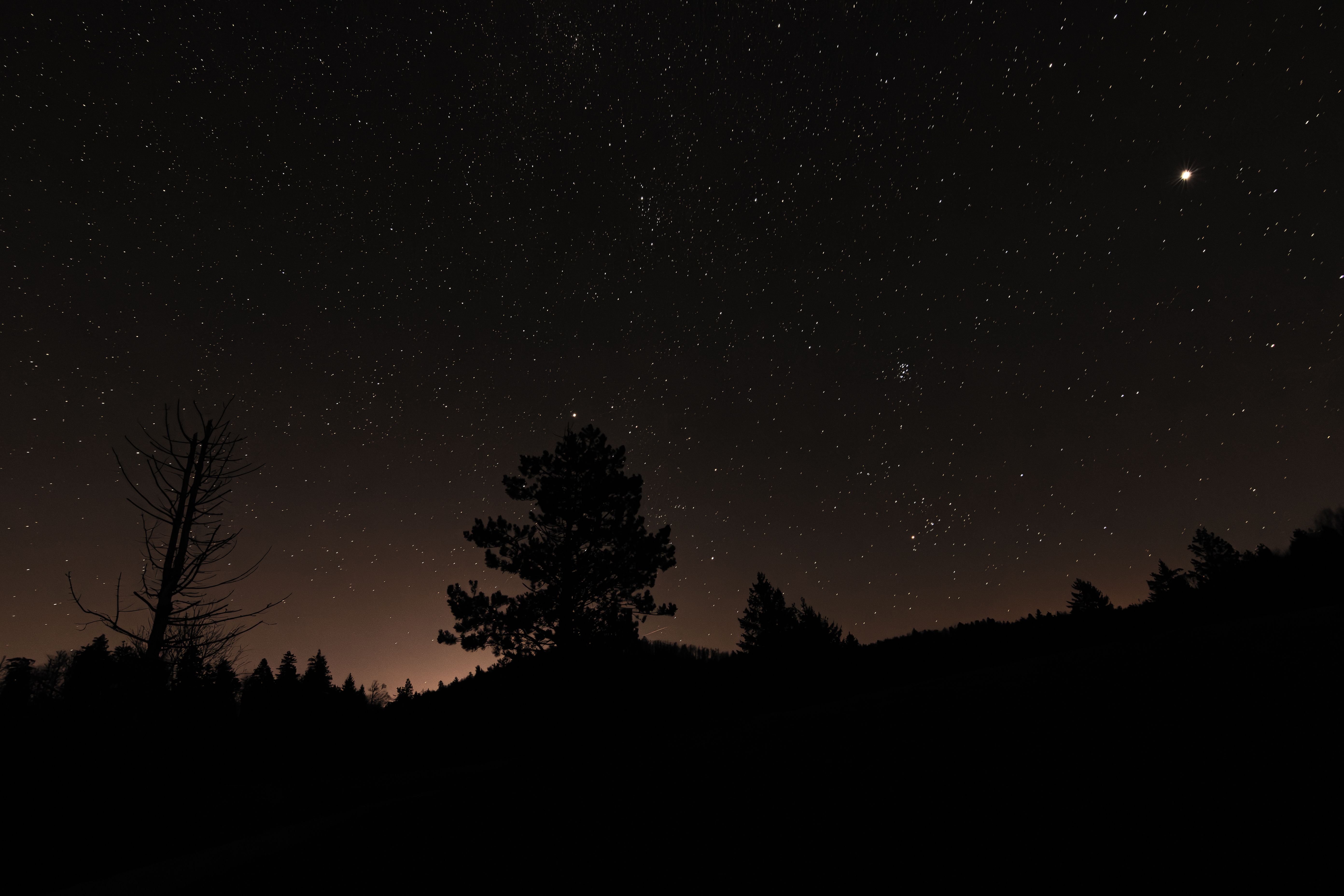 Night · Free Stock Photo