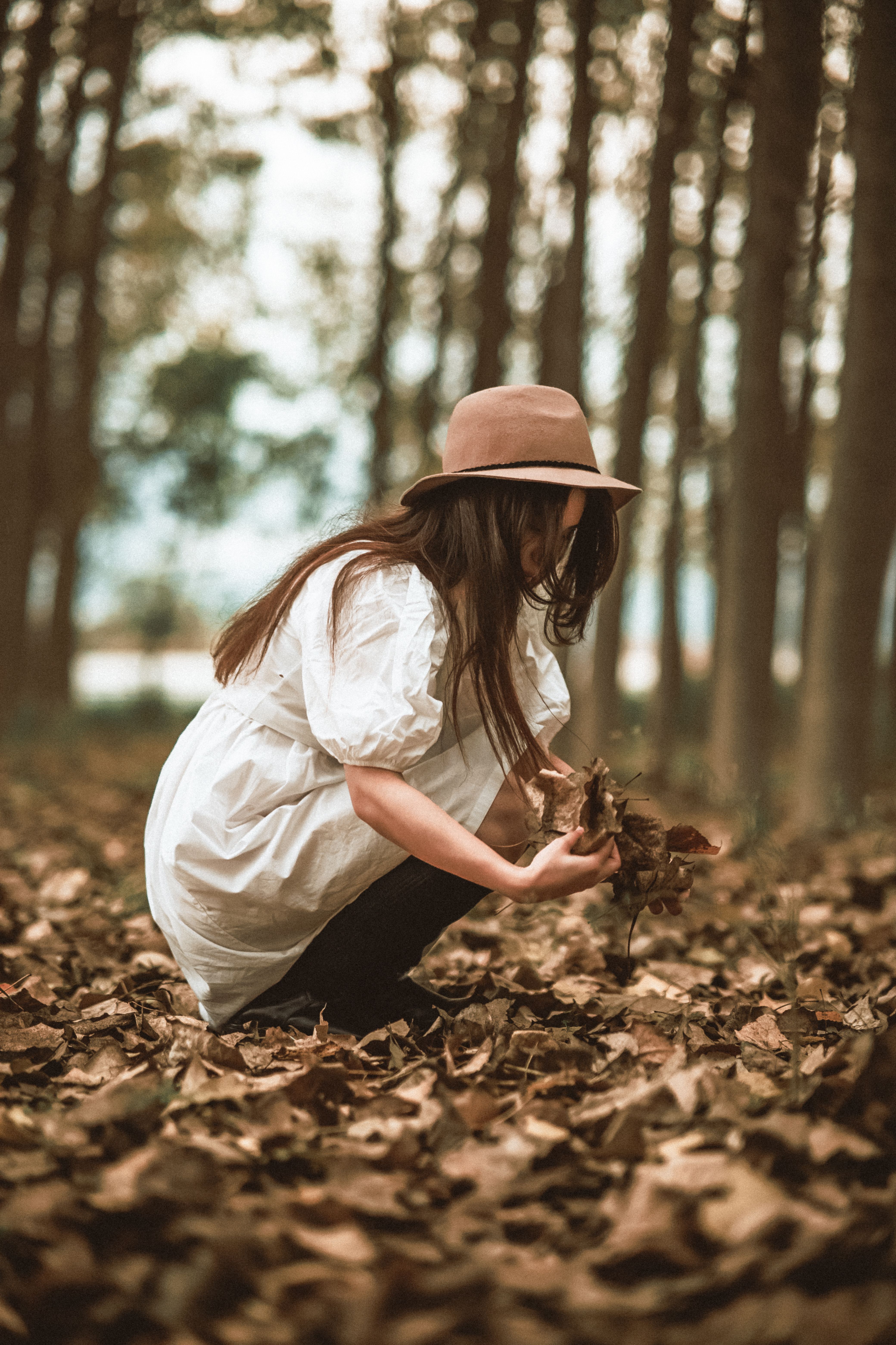 Woman Crouching in a Forest and Gathering Autumn Leaves · Free Stock Photo