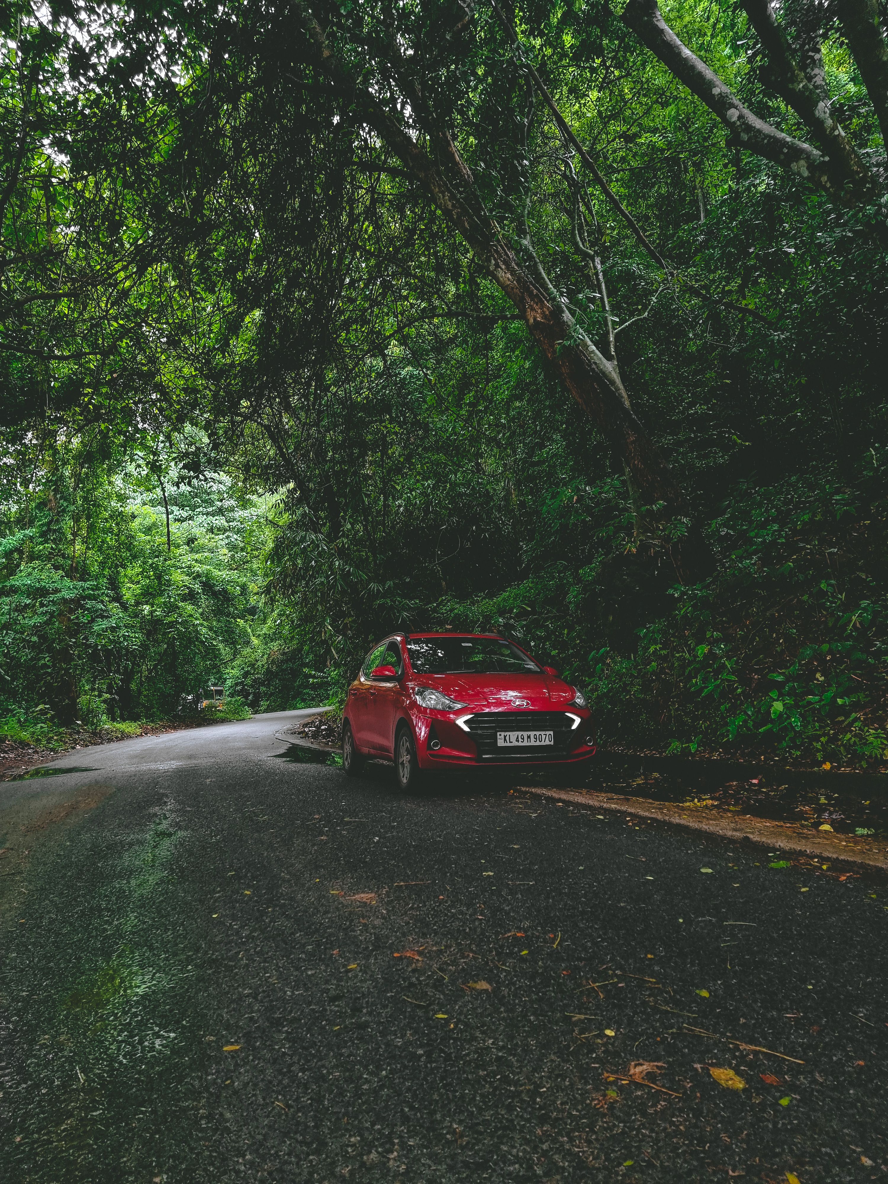 Red and Black Ford Mustang · Free Stock Photo