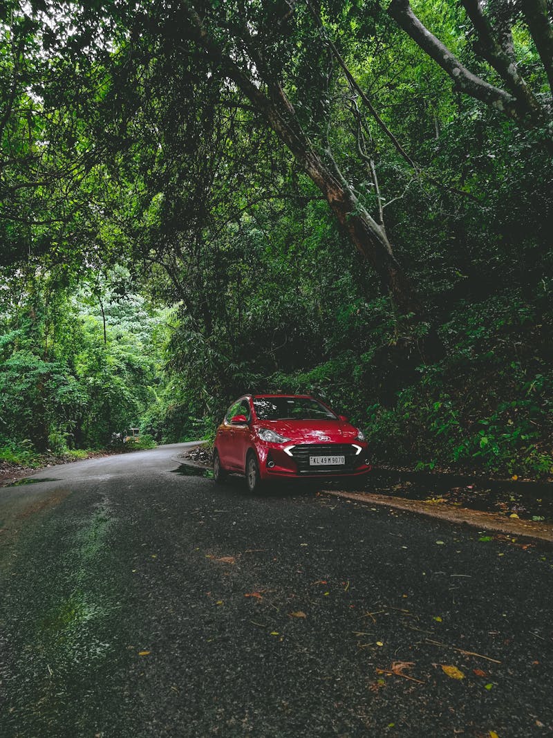 In Car Photos, Download The BEST Free In Car Stock Photos & HD Images