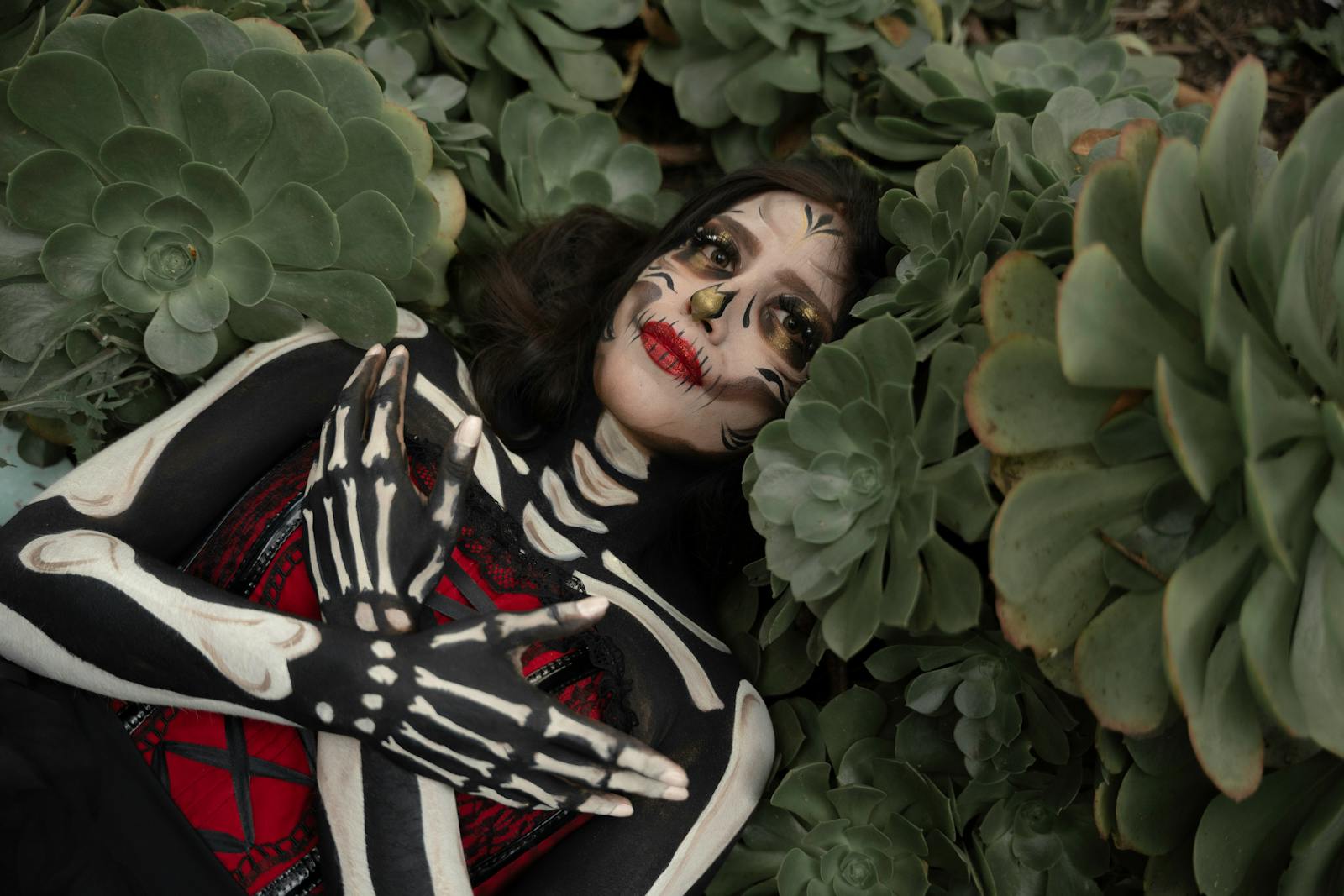 Mexican Roses Photos, Download The BEST Free Mexican Roses Stock Photos ...