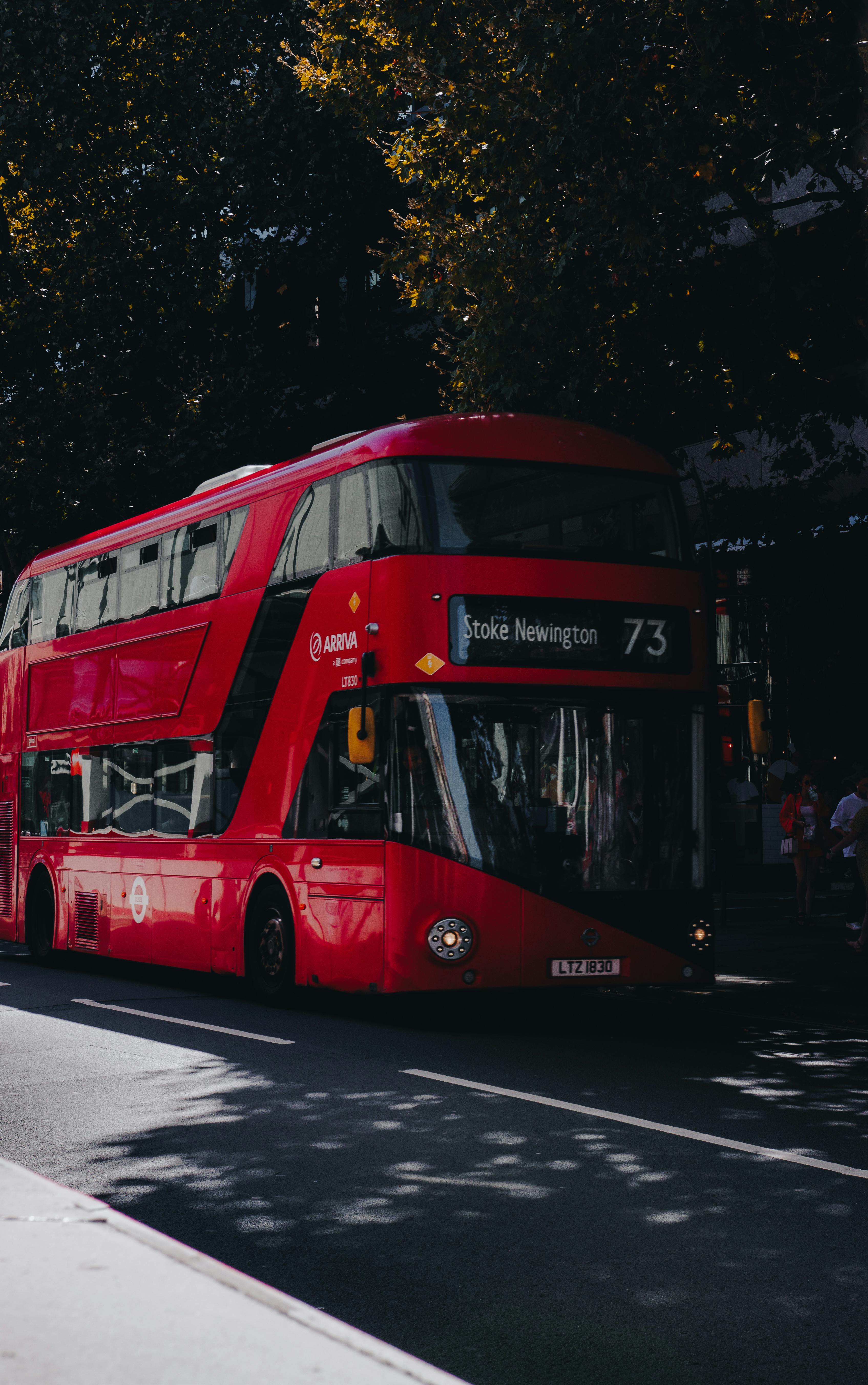 Red Bus on a Road · Free Stock Photo