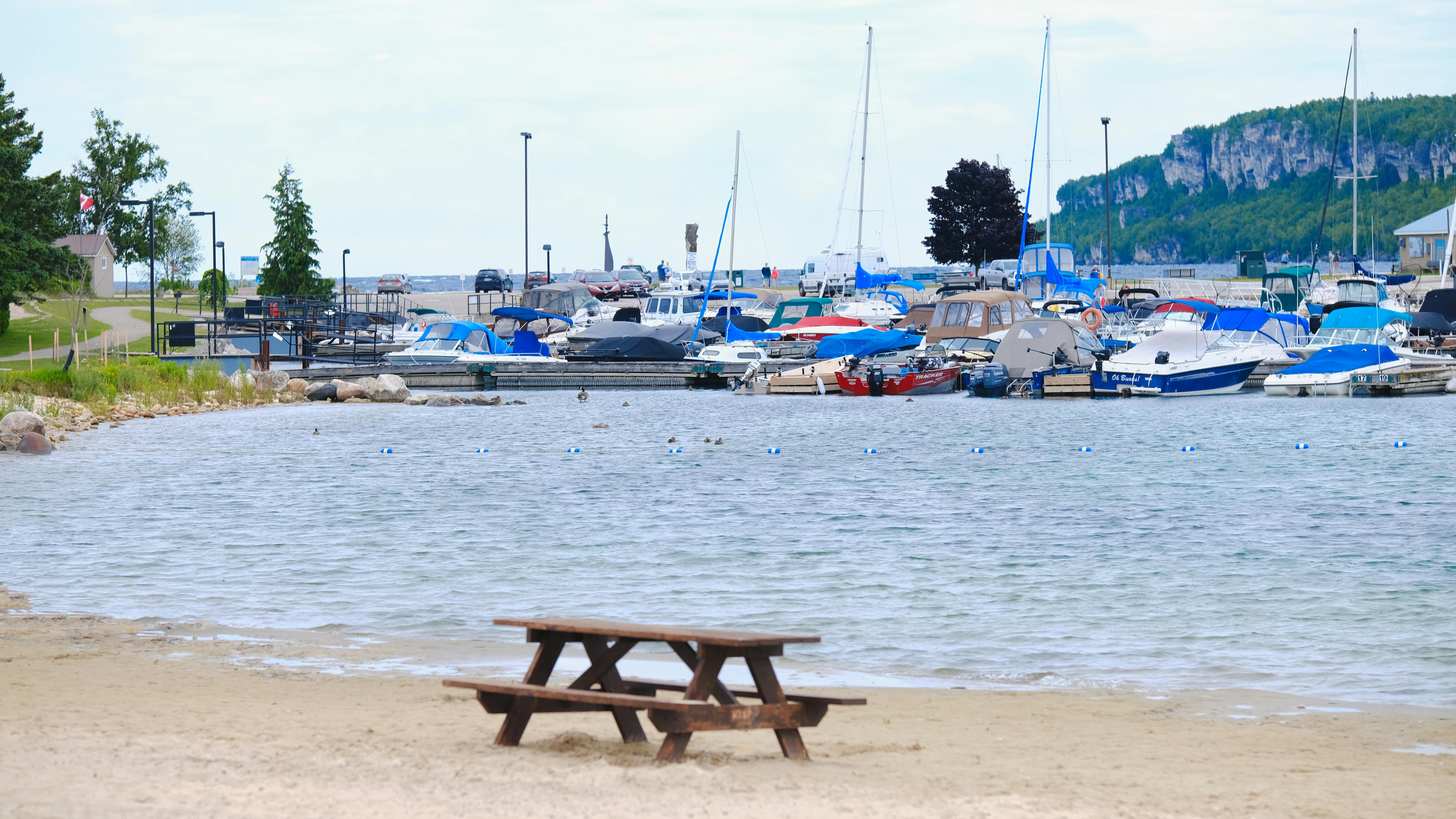 Surja Sen Das Raj - Photography